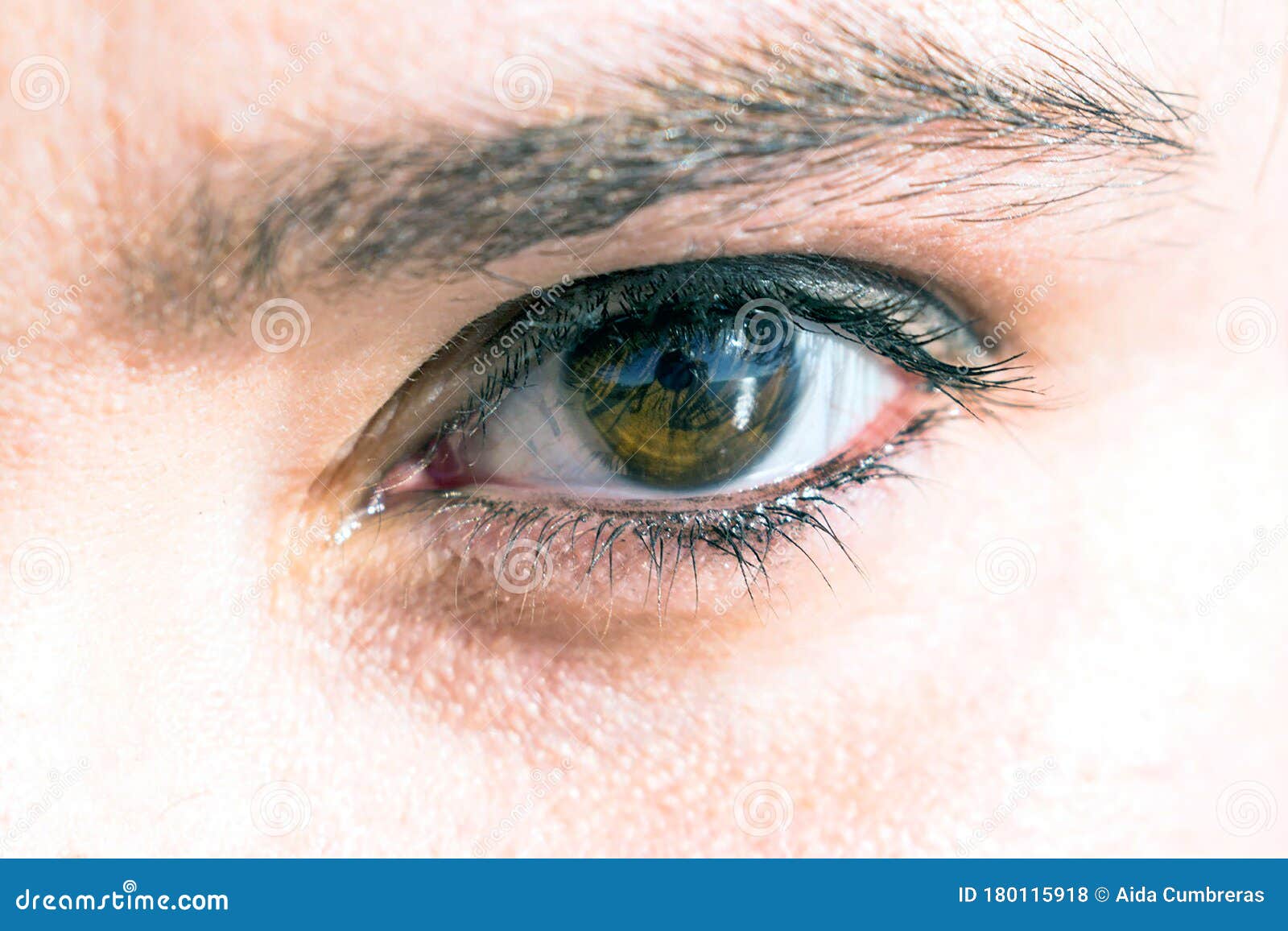 Brown eye in the sunlight stock photo. Image of cosmetic - 180115918