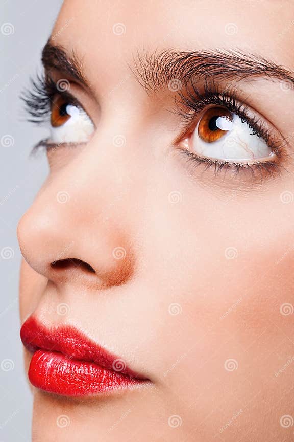 Brown eyes and red lips stock image. Image of lady, beautiful - 11249315