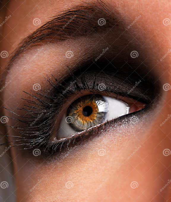 Brown eyeshadow stock photo. Image of brown, skin, shiny - 2177940