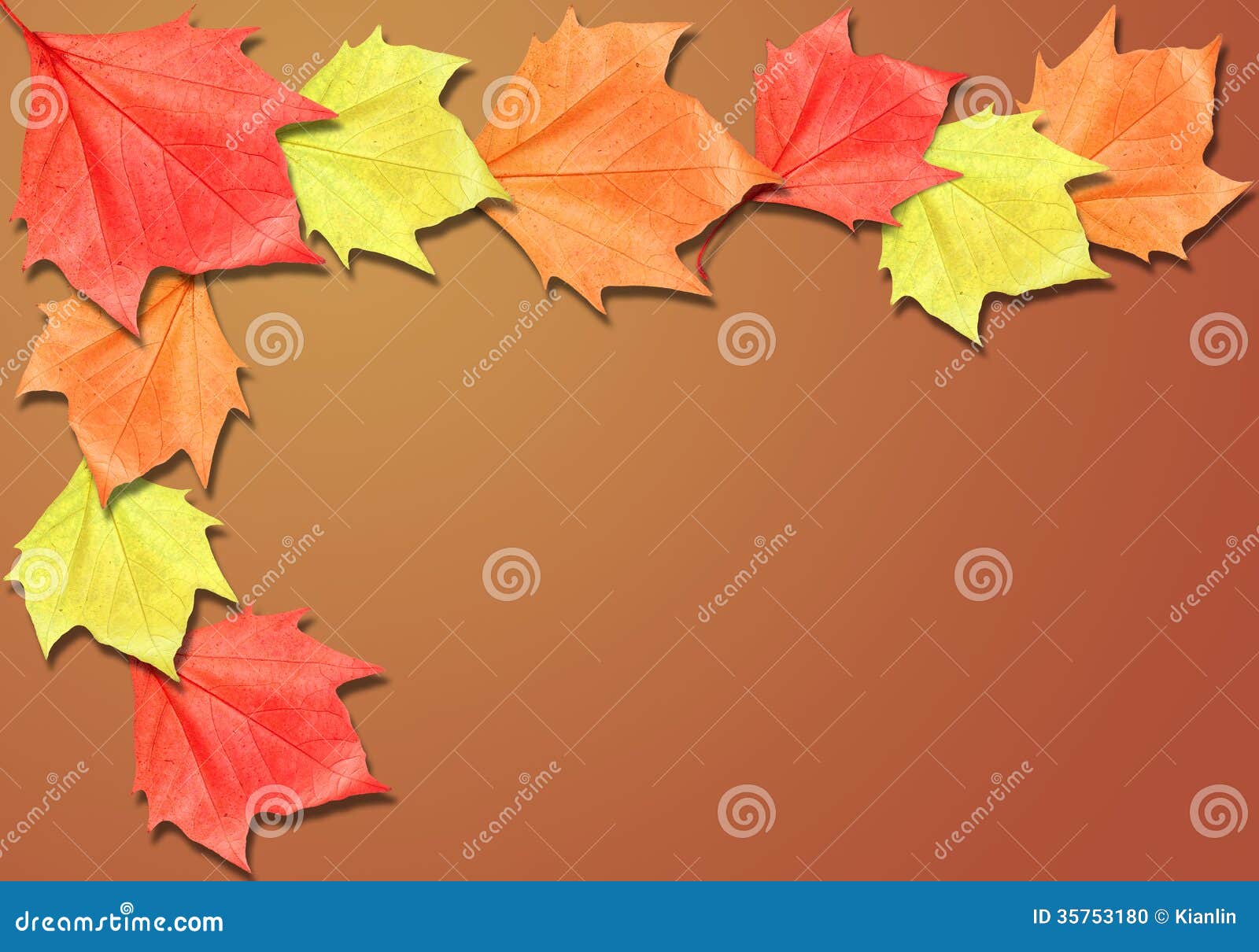 Brown Fall Background Border with Copyspace Stock Photo - Image of ...