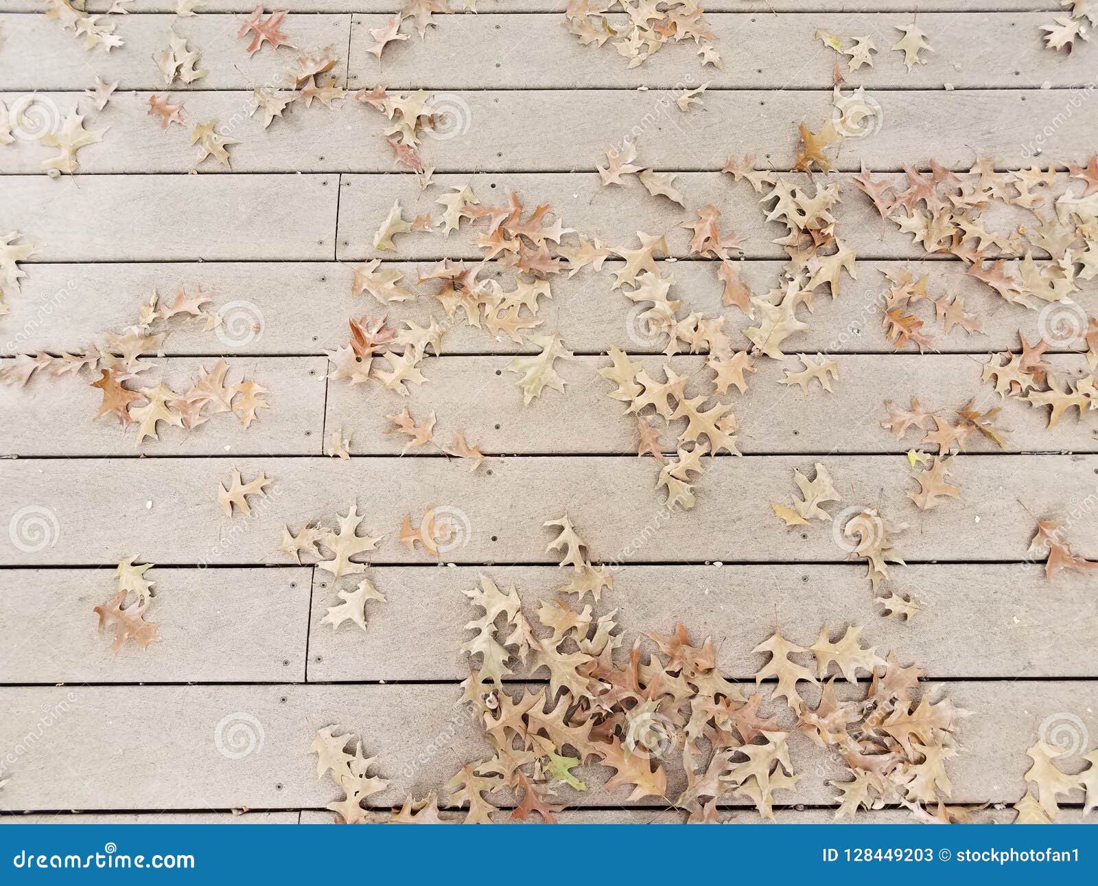 Brown Fallen Leaves on Wood Deck Outdoor Stock Image - Image of leaves ...