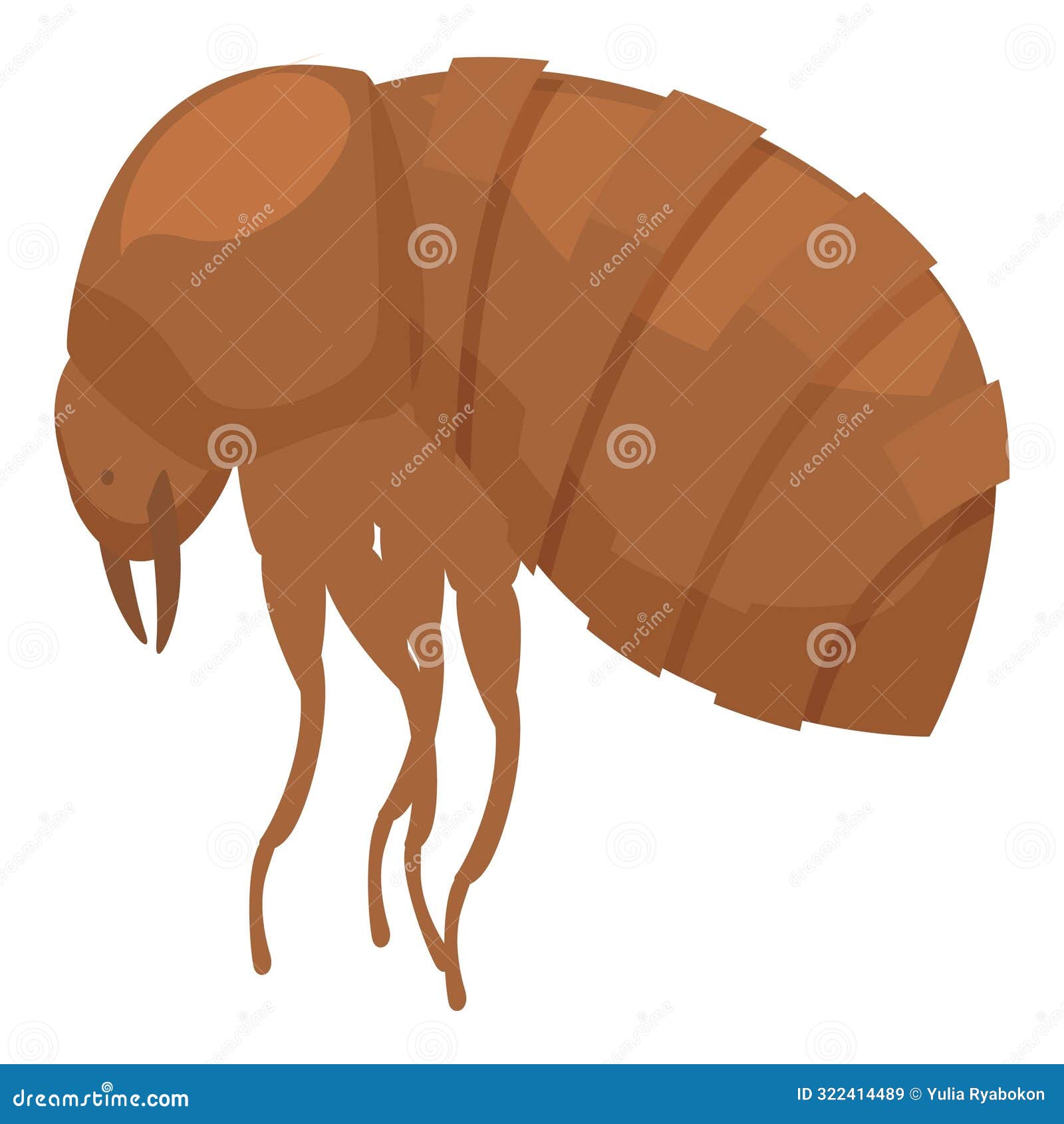 Brown Flea Insect is Crawling with Its Big Legs Stock Vector ...