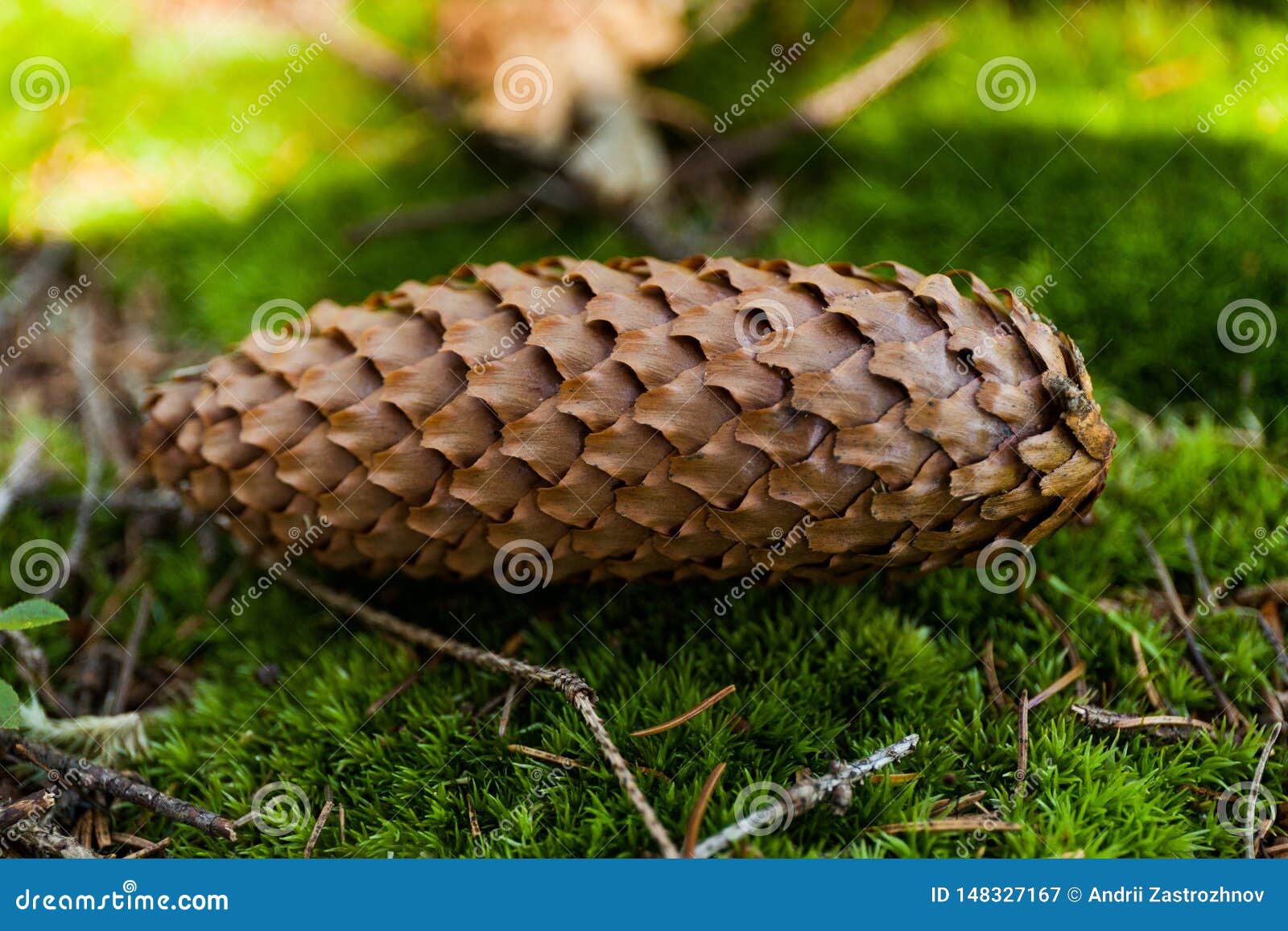 Moss Ground Normal Map Texture, Bump Map Texture Stock Photo ...