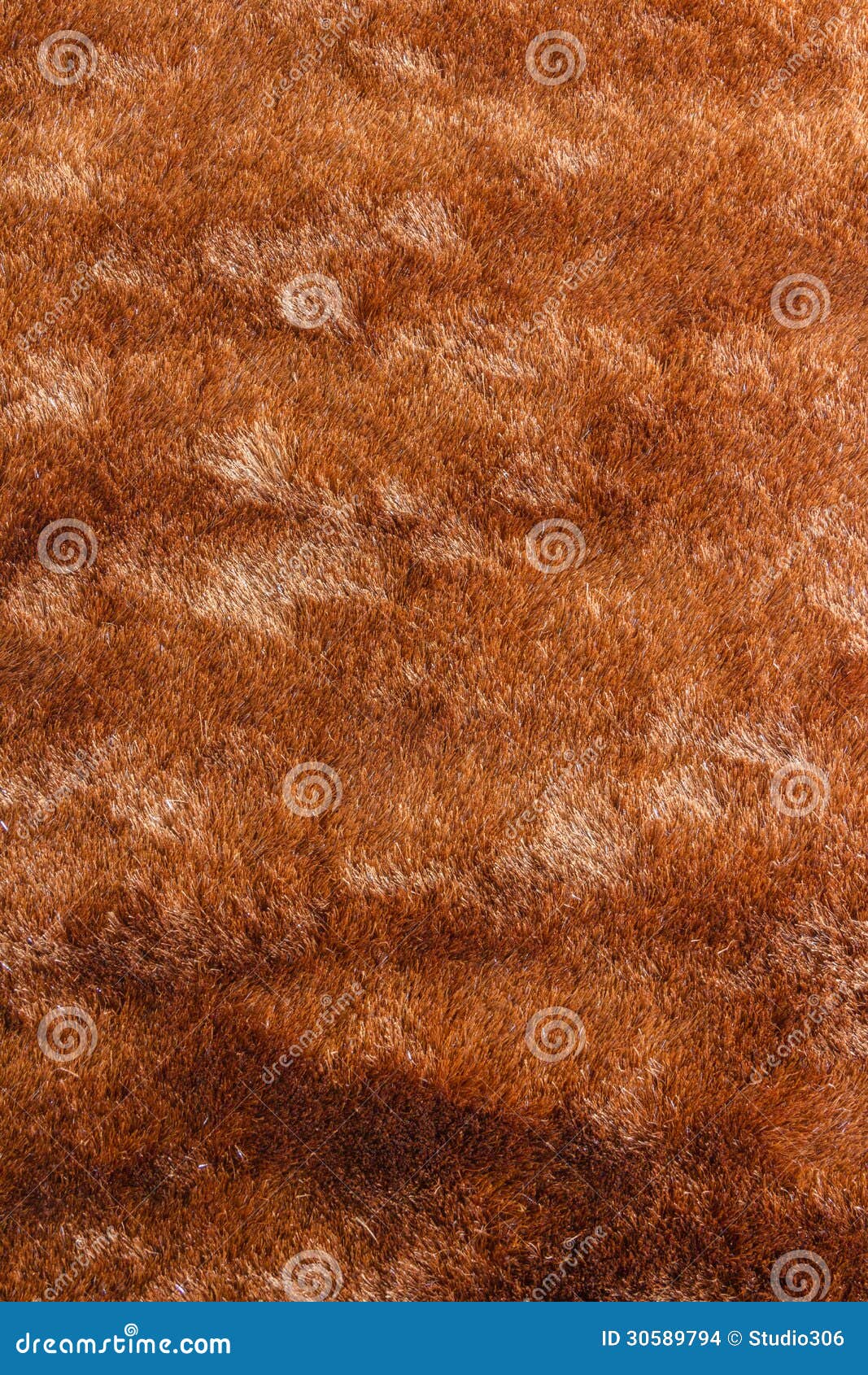 Brown fur texture stock photo. Image of elegance, luxurious - 30589794