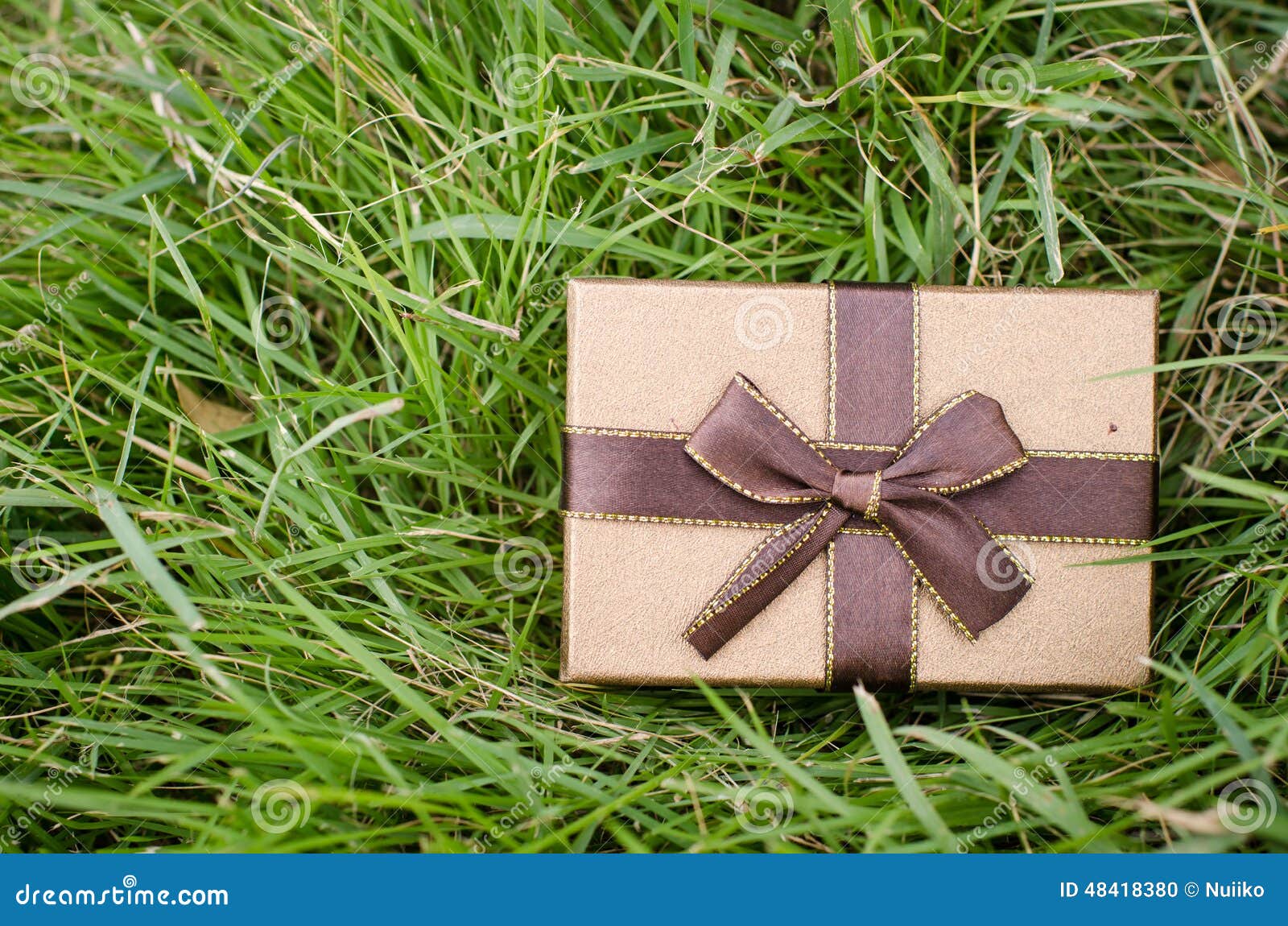 Brown Gift Box on Green Grass. Stock Photo - Image of park, santa: 48418380