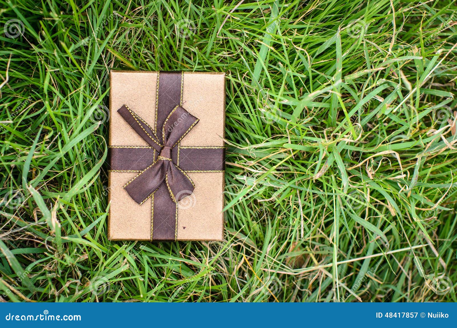 Brown Gift Box on Green Grass Outdoor. Stock Image - Image of space ...