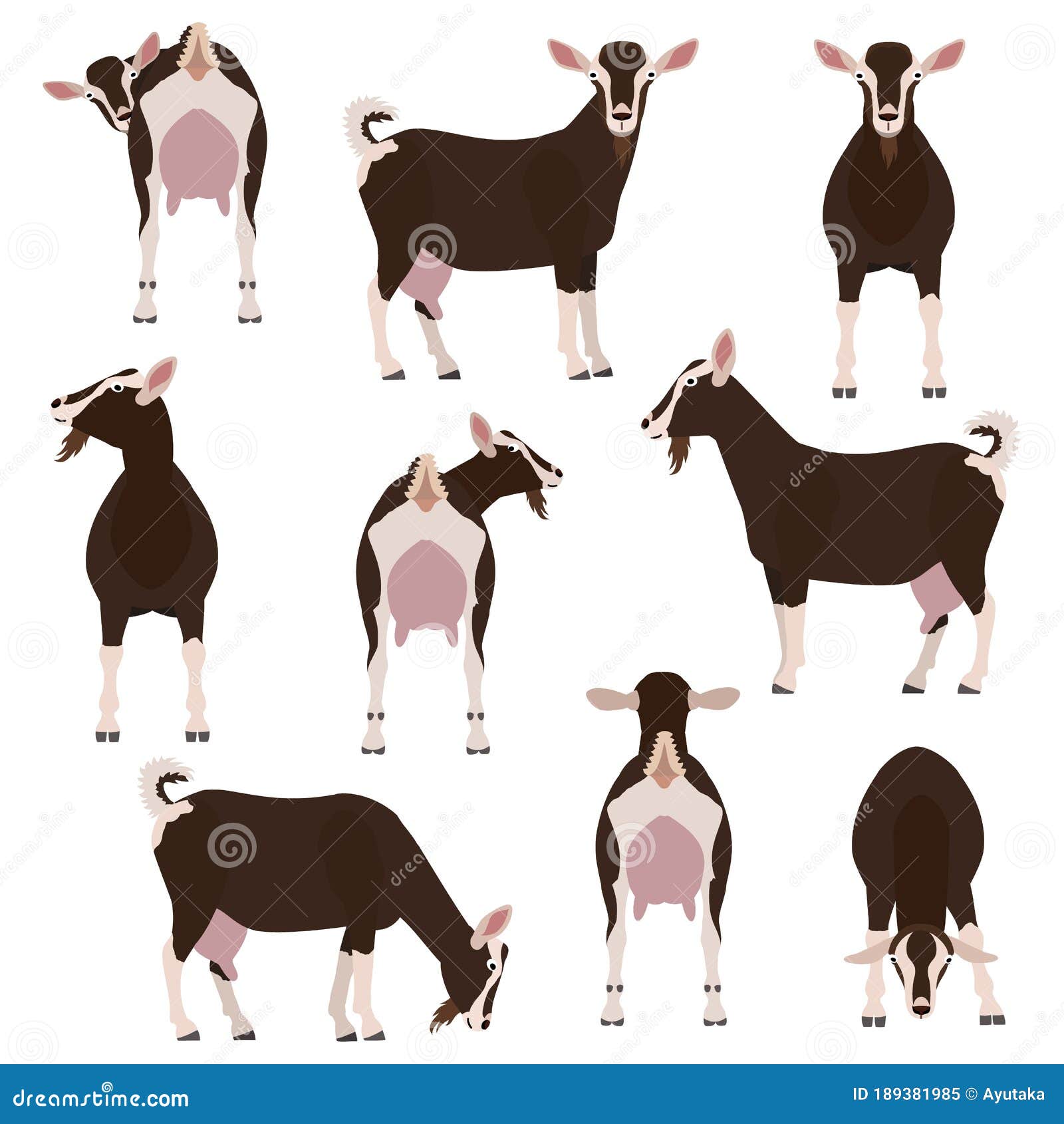 Brown Goat Various Pose Set Stock Vector - Illustration of cute, cool ...