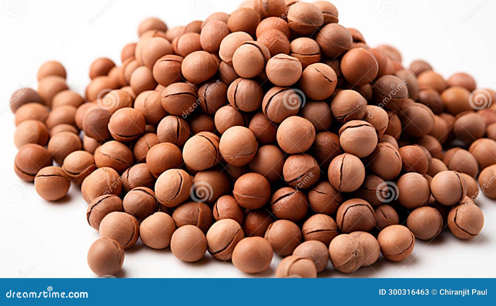 Brown Gram Pulse Seeds of Husked Isolated on White Background Stock ...