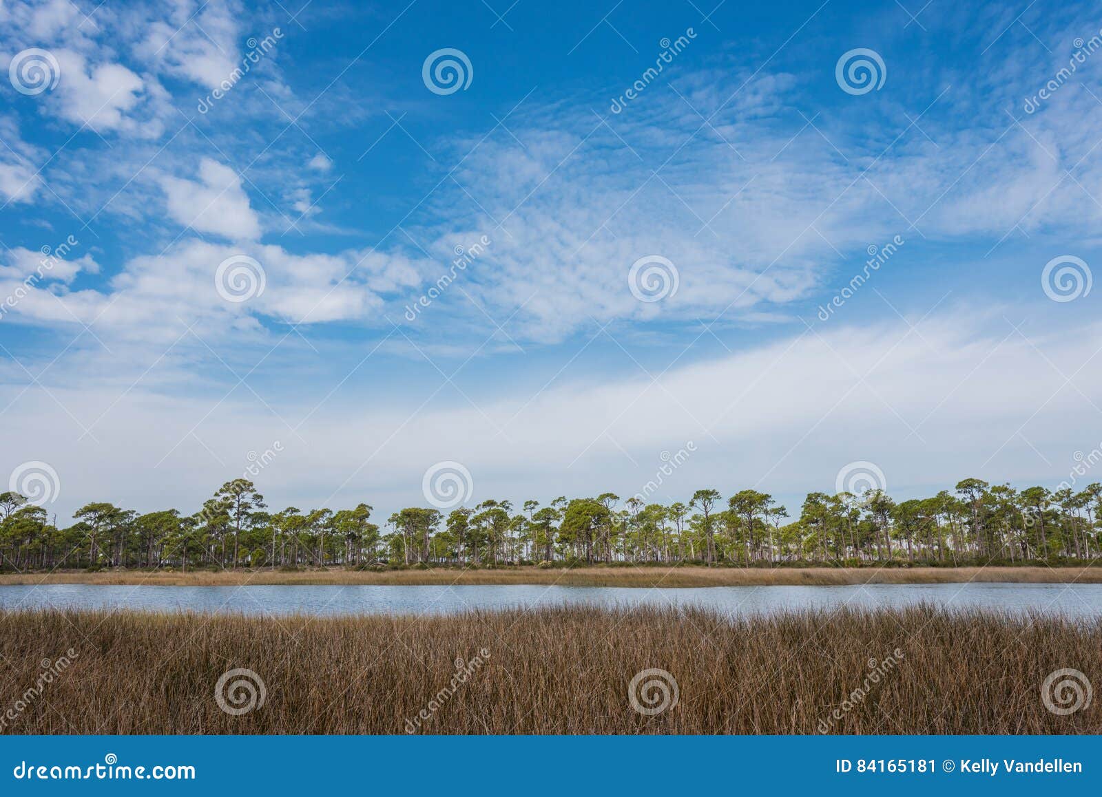 Brown Grass in Marsh Under Blue Cloudy Sky Stock Image - Image of water ...