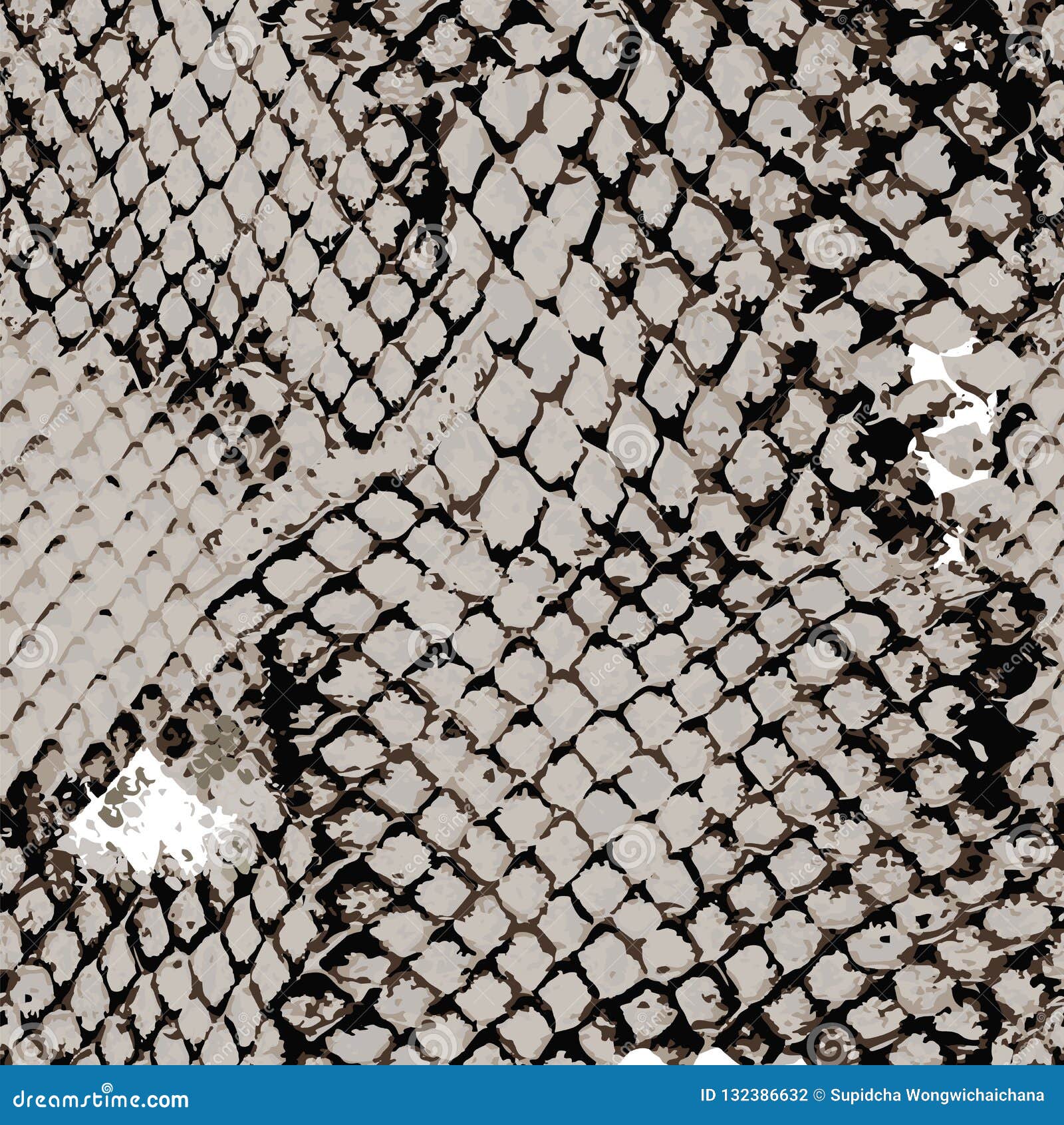 Brown Gray Snake Skin Pattern Stock Vector - Illustration of animal ...