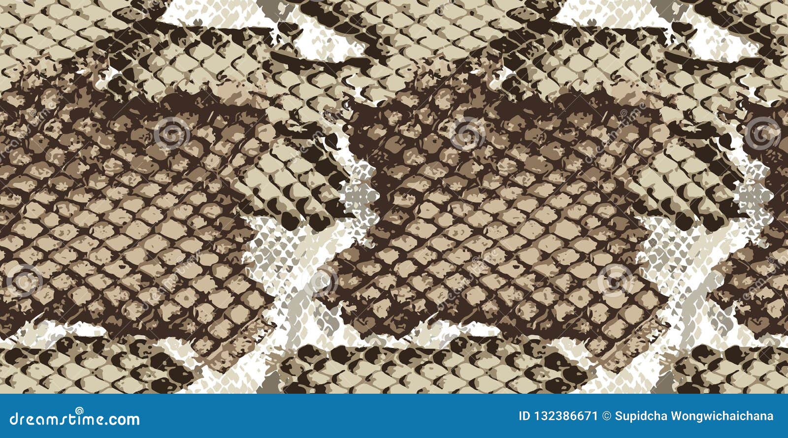 Brown Gray Snake Skin Seamless Pattern Stock Vector - Illustration of ...
