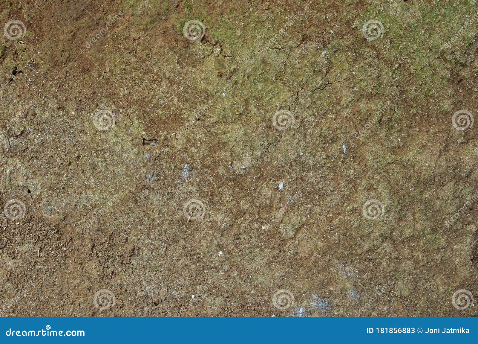 Brown and Greeny Textures of Soil Around the House Stock Image - Image ...