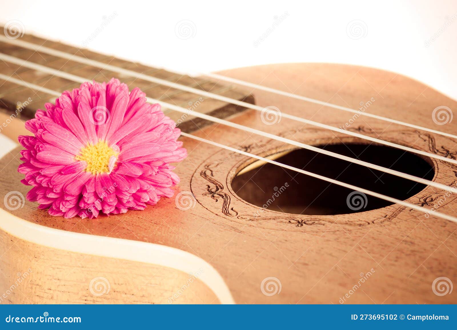 Brown Guitar Ukulele Front View Silouette Close Up Stock Photo - Image ...