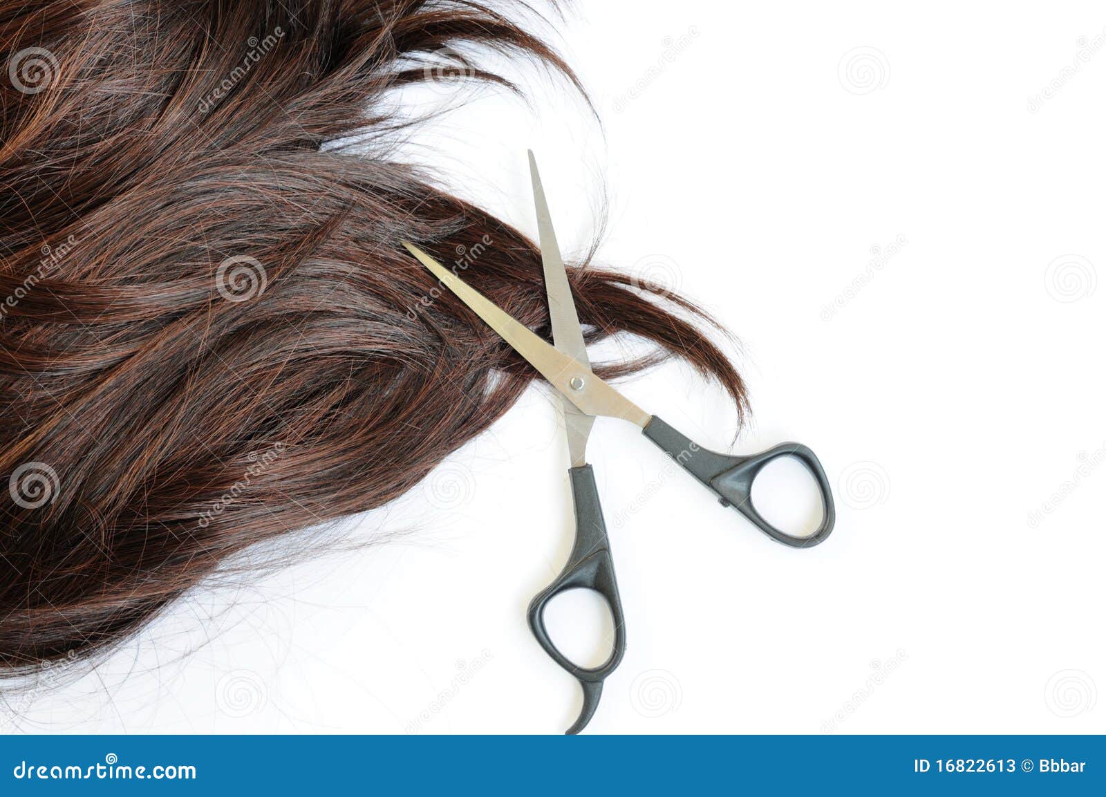 Brown-Haar und Scheren stockbild. Bild von haarschnitt - 16822613