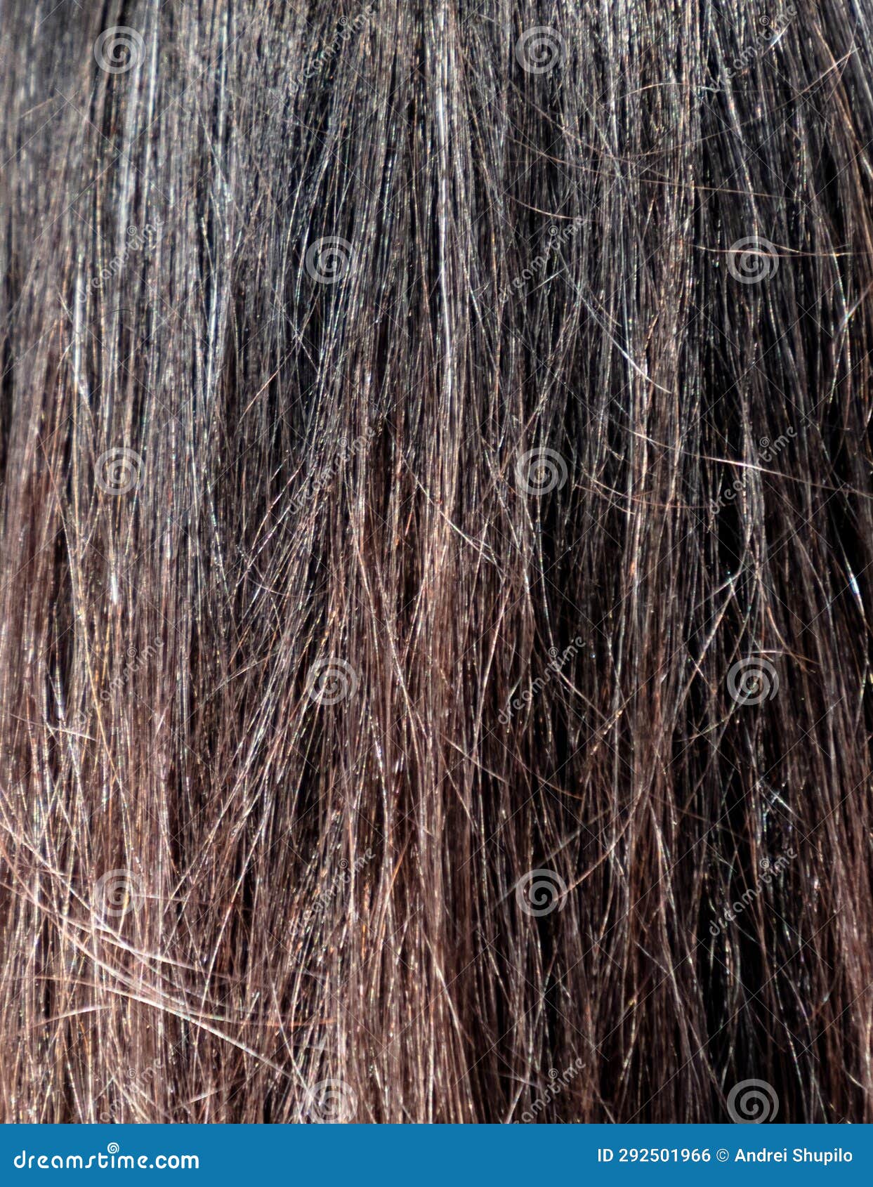 Brown Hair As an Abstract Background. Texture Stock Photo - Image of ...