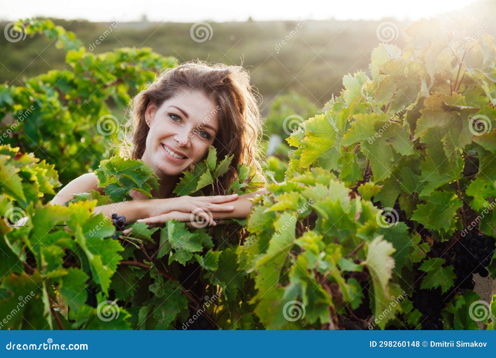 Beautiful Brown-haired Woman in a Vineyard at Sunset Stock Photo - Image of park, holding: 298260148