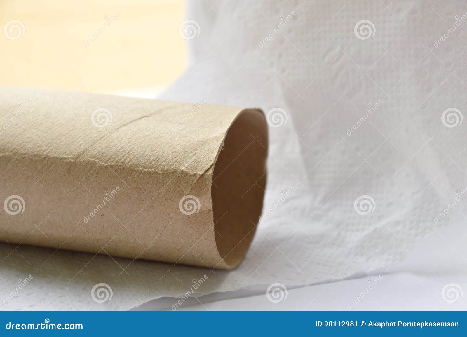 Brown Hard Tissue Paper Core on White Background Stock Image - Image of ...