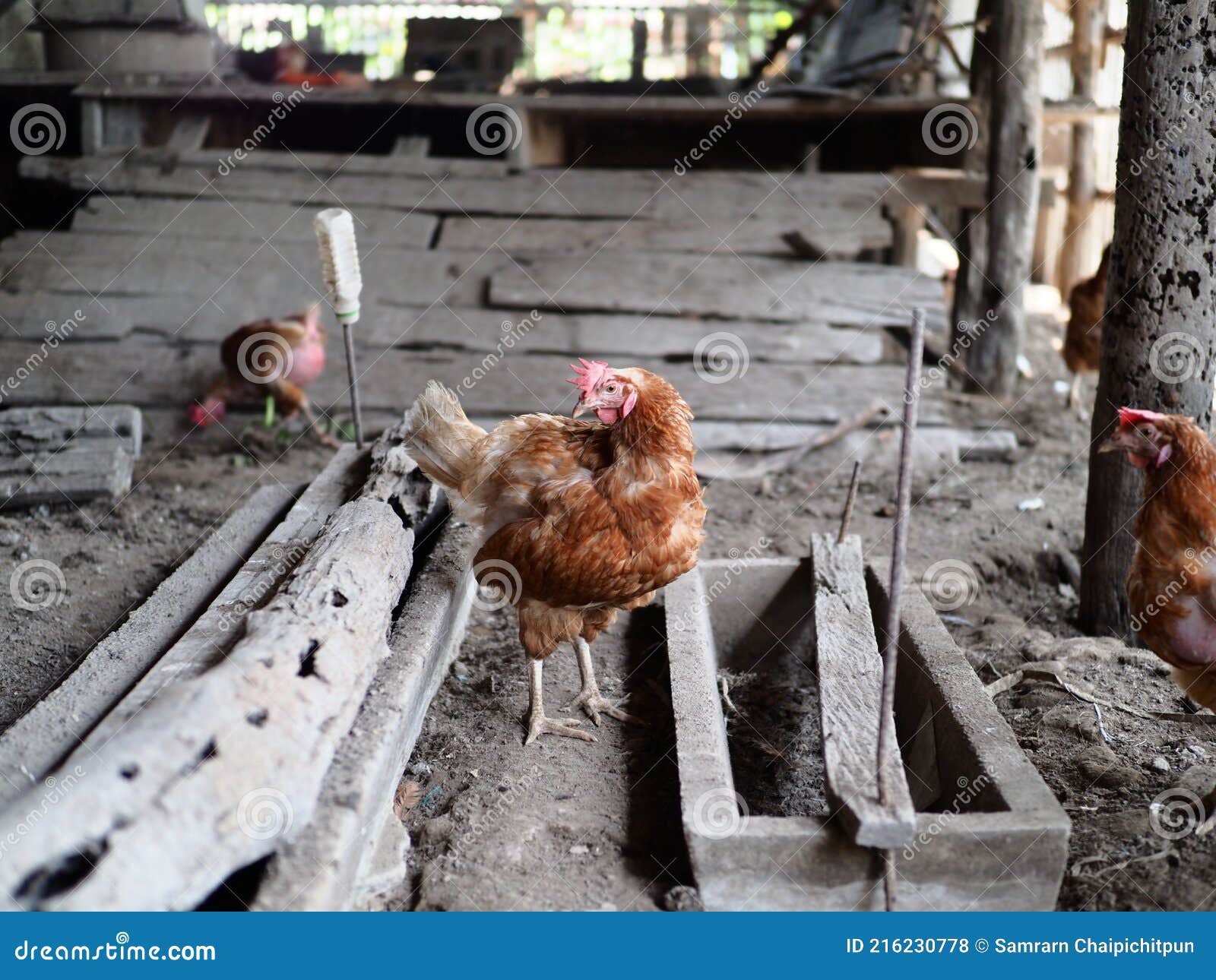 Loca Dirtyl Stock Photos - Free & Royalty-Free Stock Photos from Dreamstime