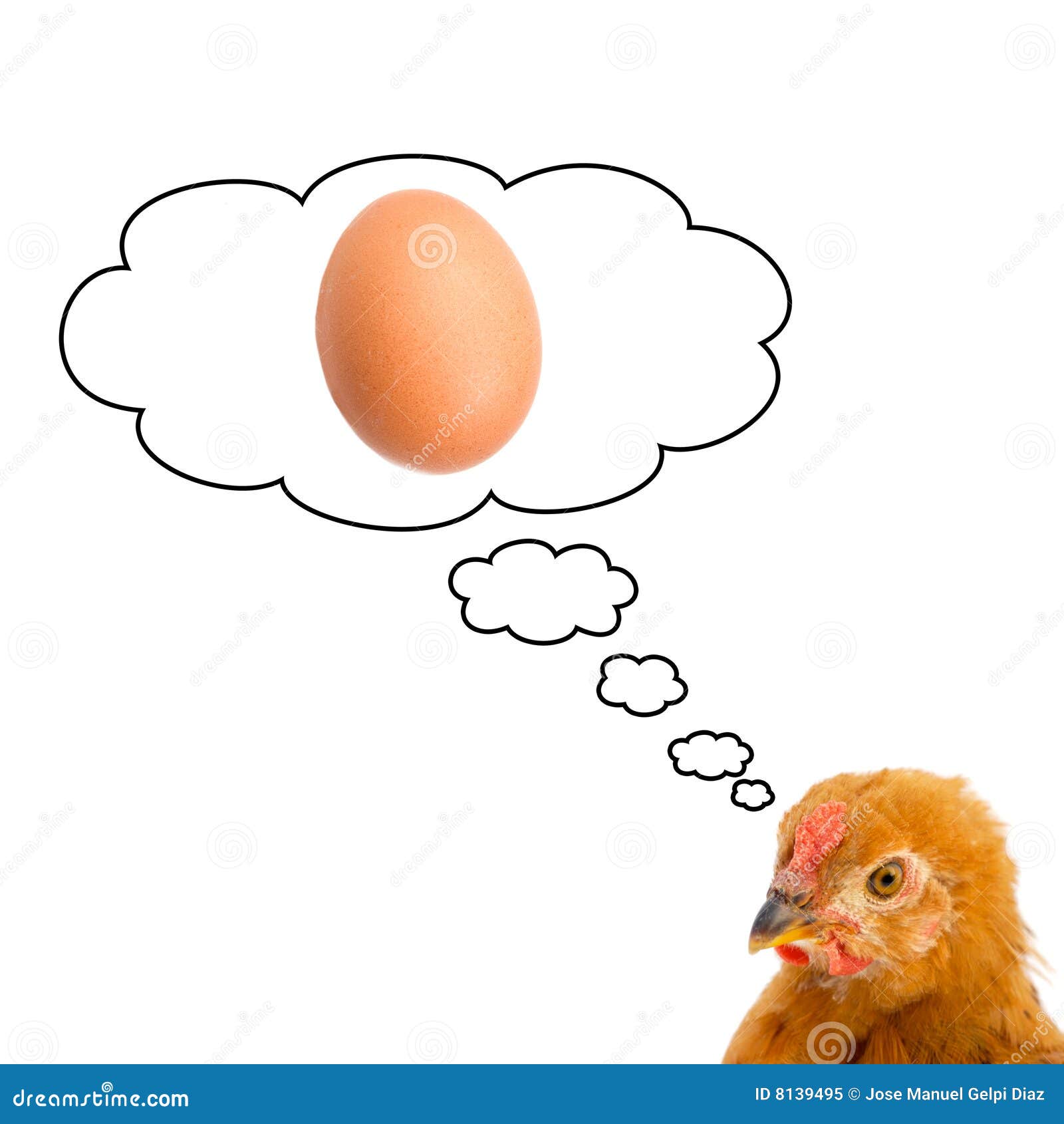 Cartoon Chicken Thinking Stock Photos - Free & Royalty-Free Stock ...