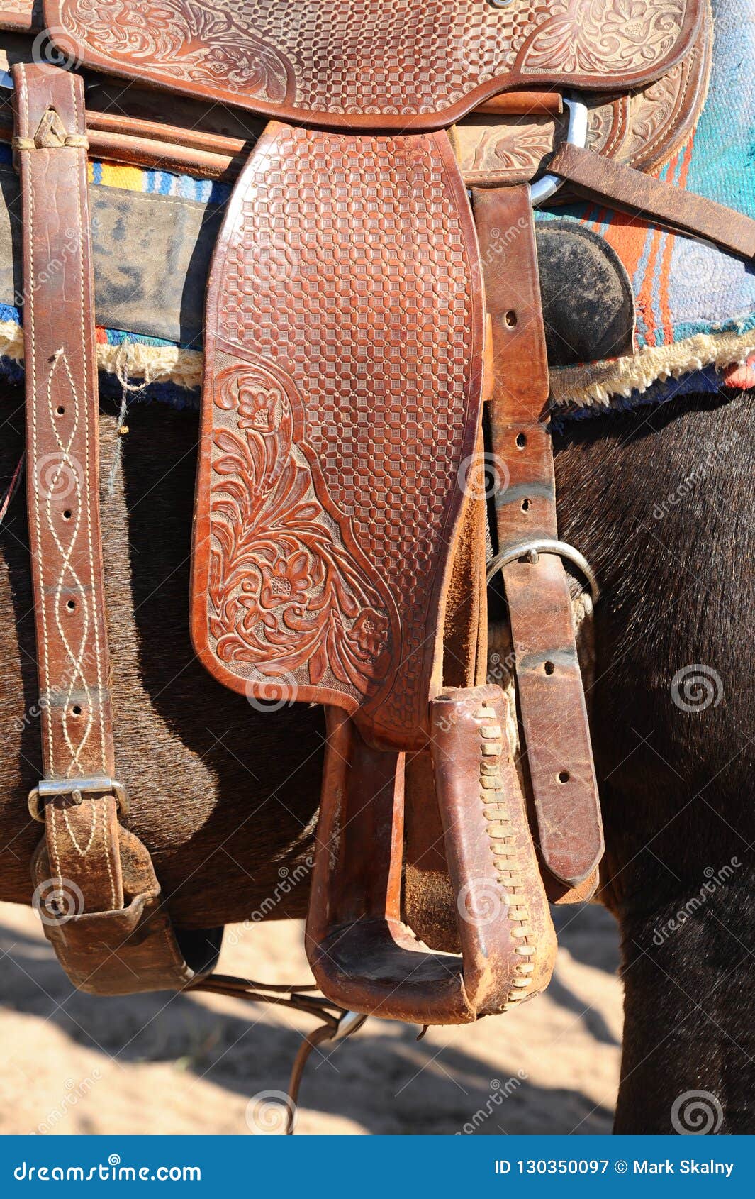 Brown Horse being Saddled stock image. Image of closeup - 130350097