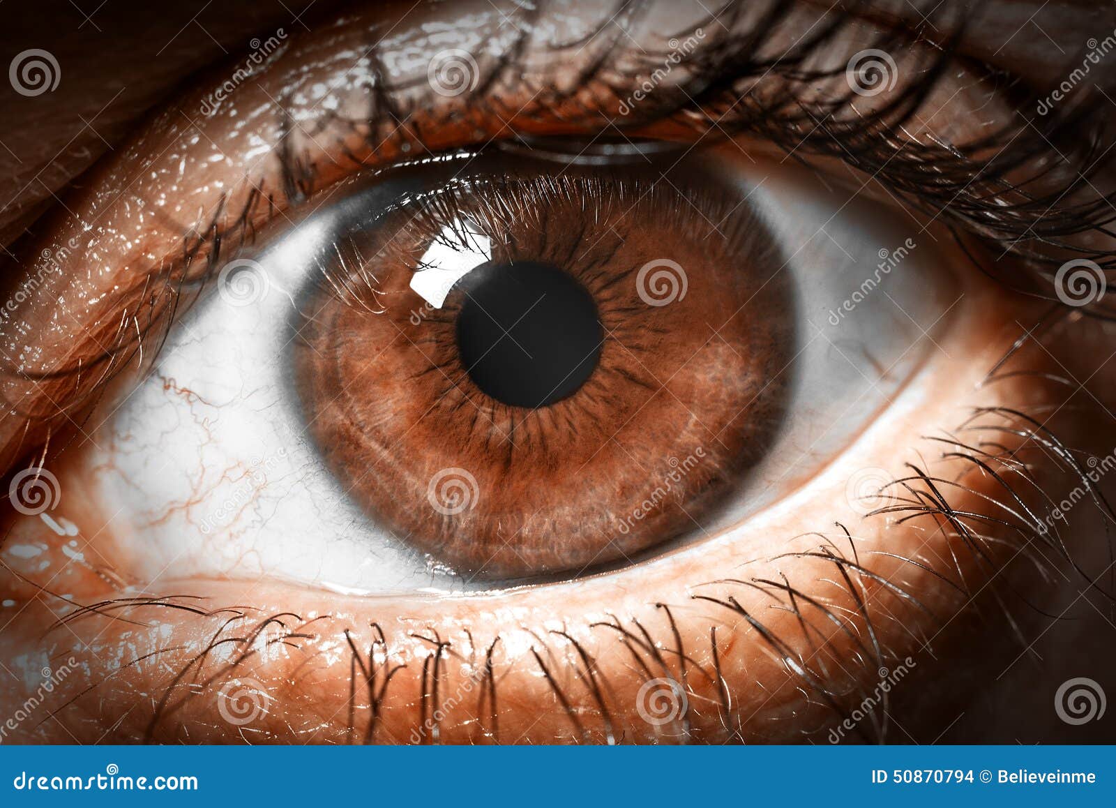 Brown Human Eye Extreme Macro Shot Stock Photo - Image of clean ...