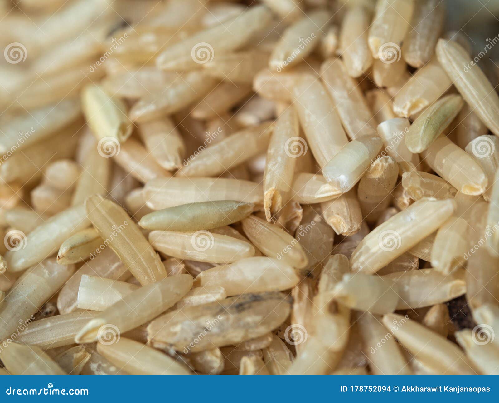 Brown Jasmine Rice Grains Closeup Stock Photo - Image of group, organic ...