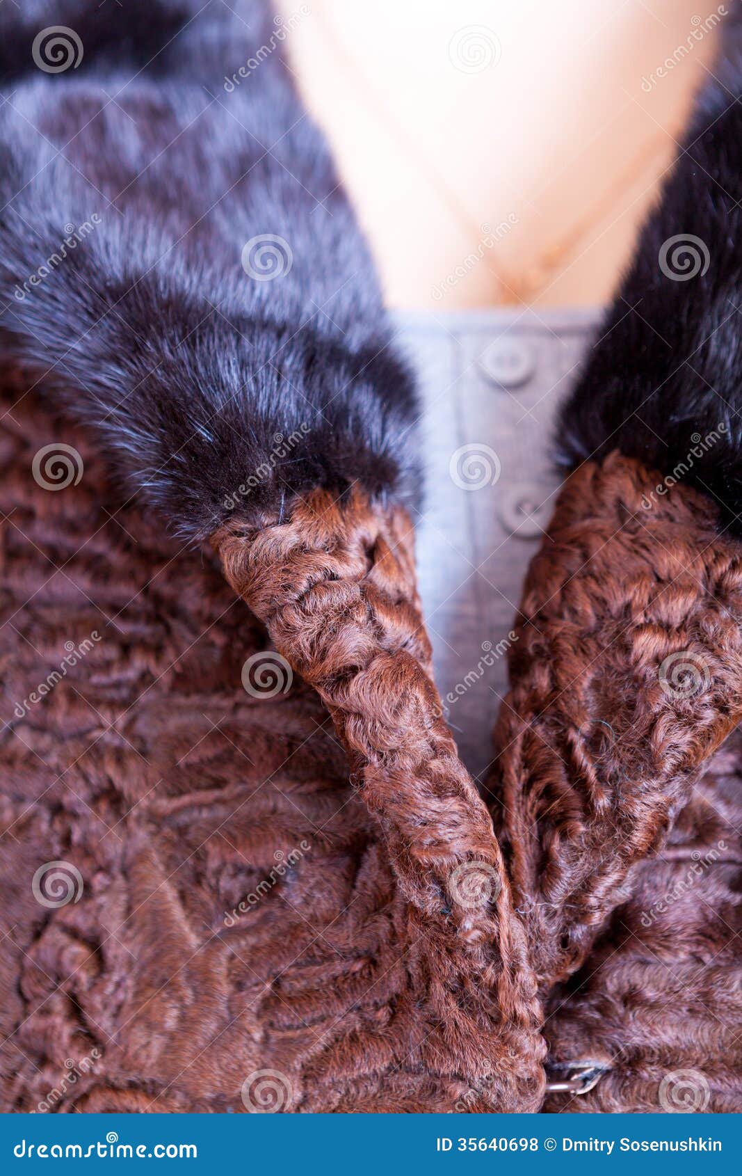 Brown karakul pelt stock photo. Image of grey, coat, sheepskin - 35640698