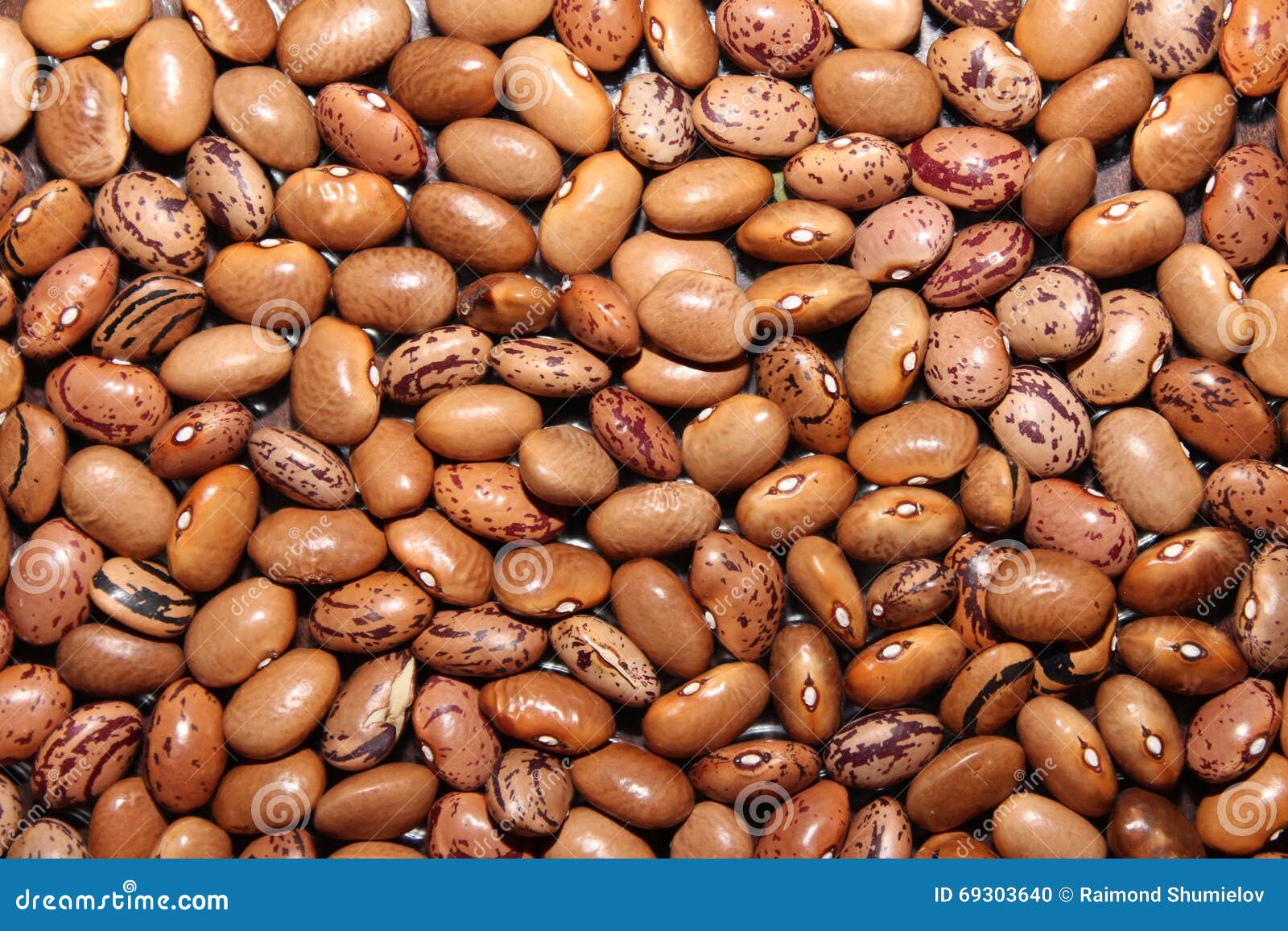 Brown kidney bean stock photo. Image of navy, beans, cooking - 69303640