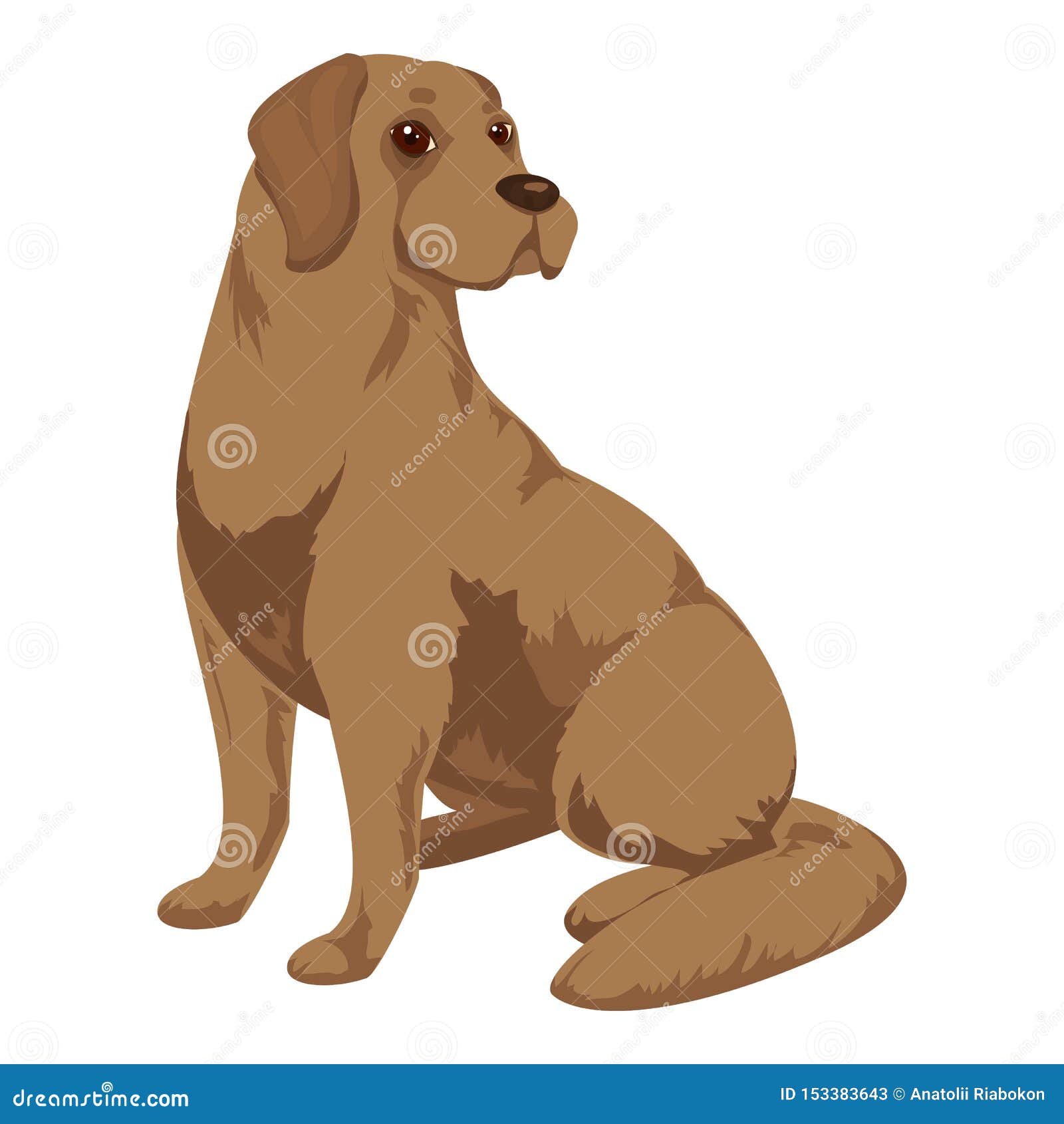 Brown Labrador Icon, Cartoon Style Stock Vector - Illustration of funny ...
