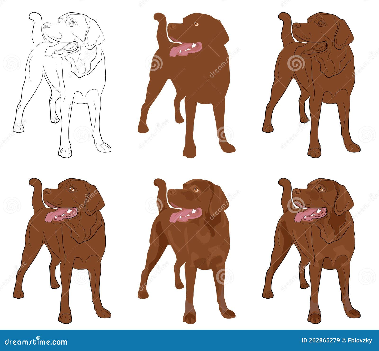 Brown Labrador, Several Options for Drawing, on a White Background ...