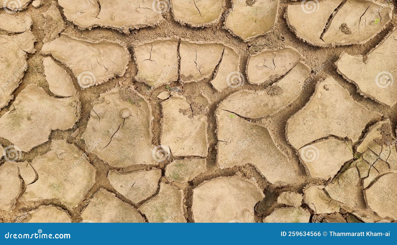 Brown Land Broken Texture Abstract Background Stock Photo - Image of ...