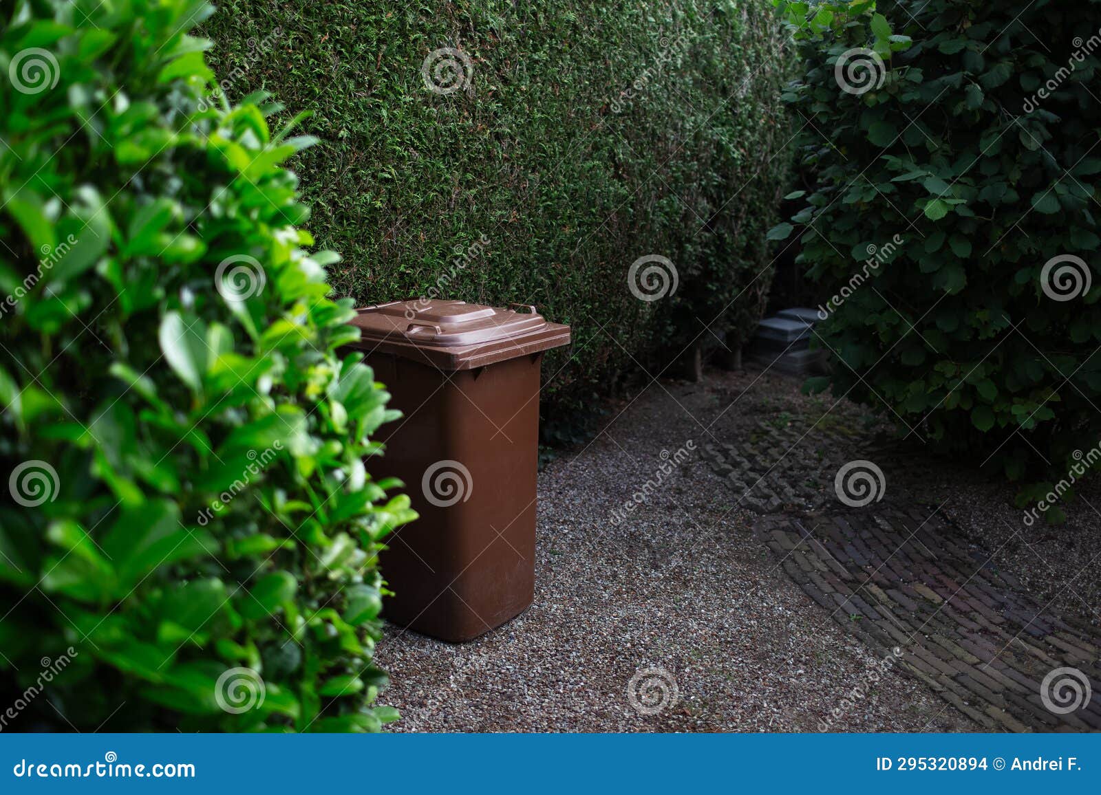 Brown Large Plastic Bin for Trash on Backyard, Around of Tree Hedge ...