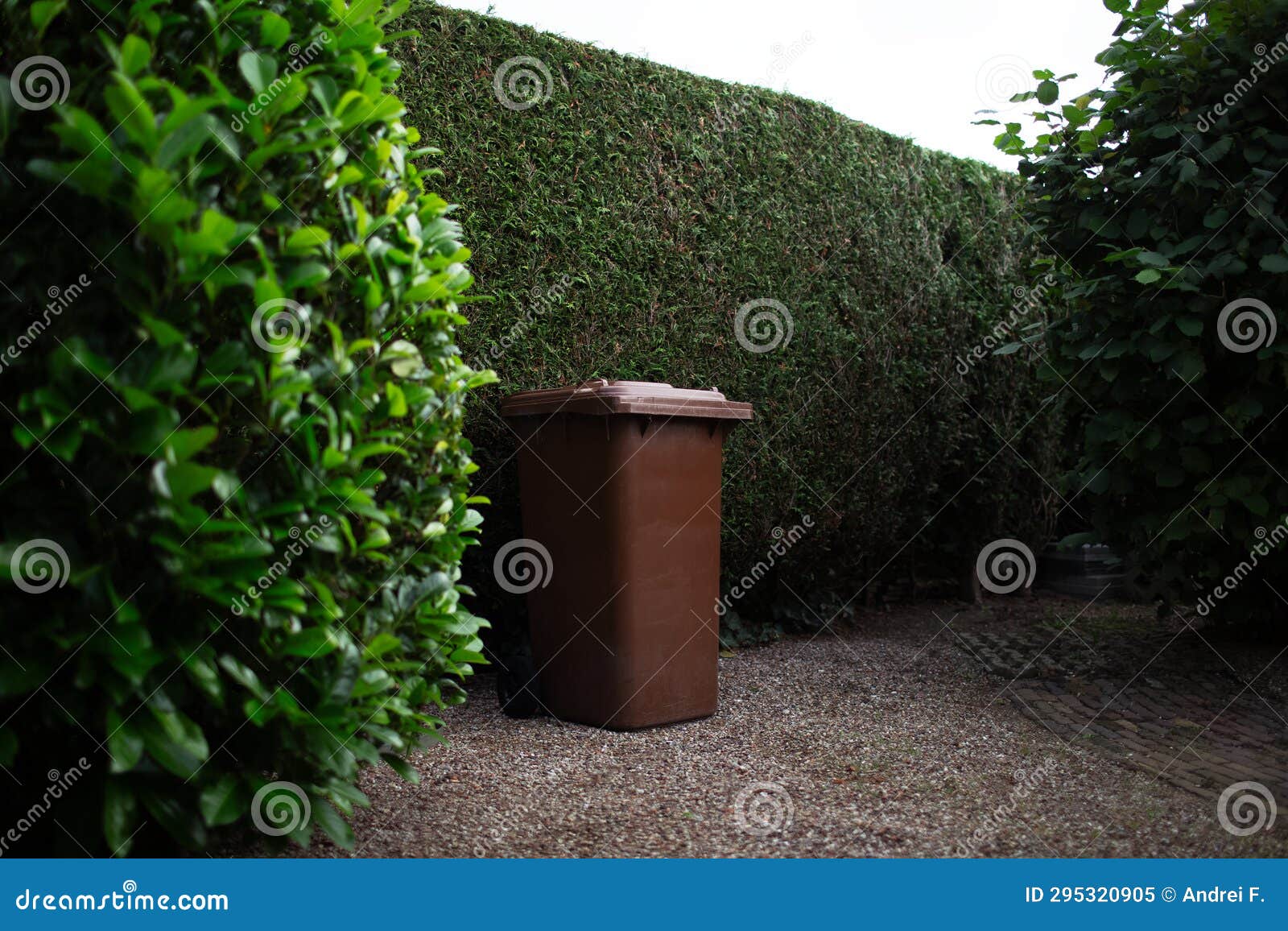 Brown Large Plastic Bin for Trash on Backyard, Around of Tree Hedge ...