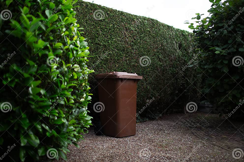 Brown Large Plastic Bin for Trash on Backyard, Around of Tree Hedge ...