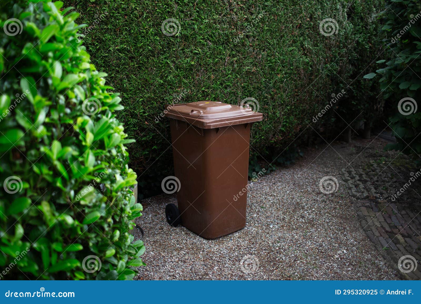 Brown Large Plastic Bin for Trash on Backyard, Around of Tree Hedge ...