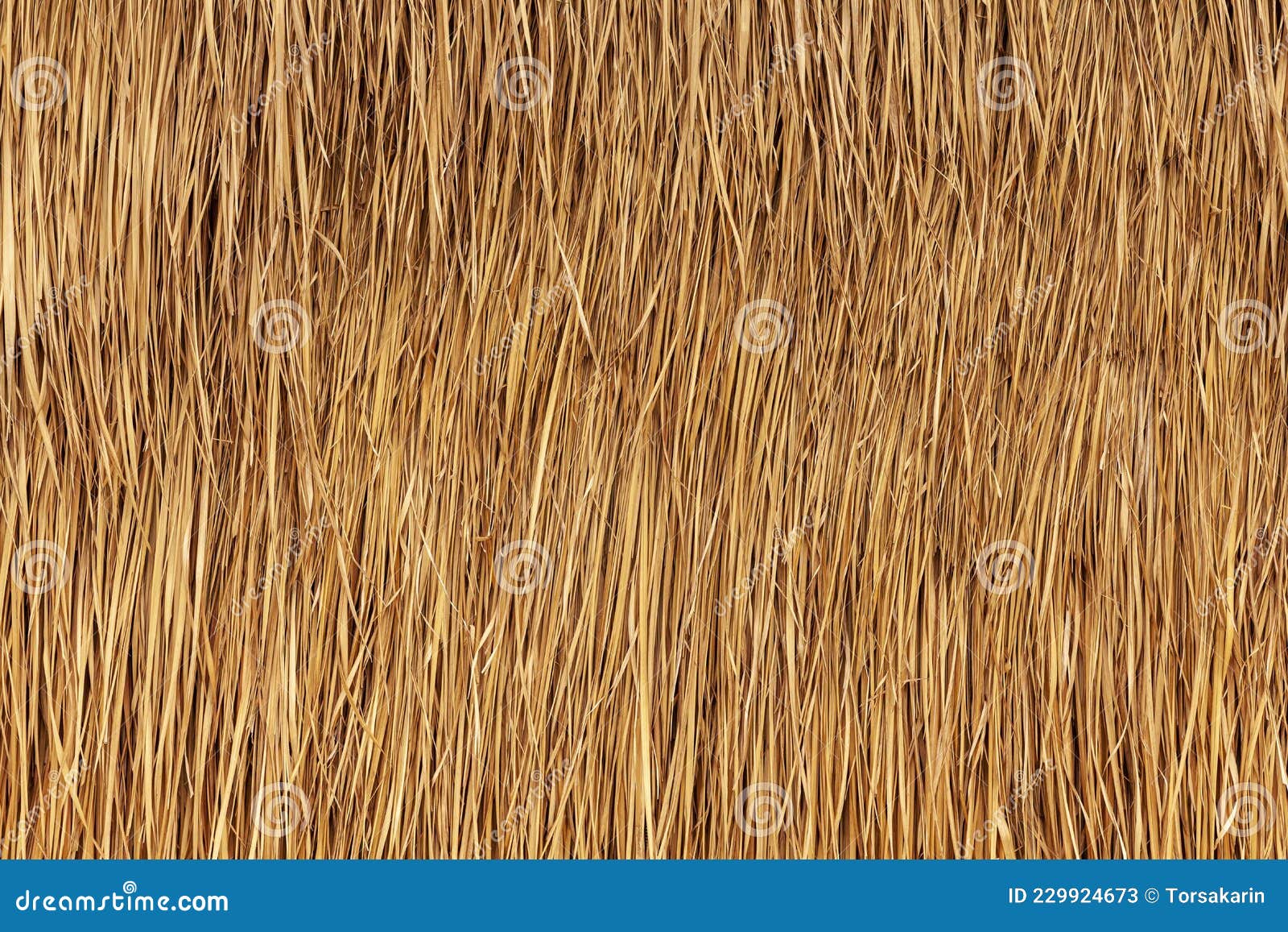 Leaf Wall Pattern and Background Seamless Stock Image - Image of ...