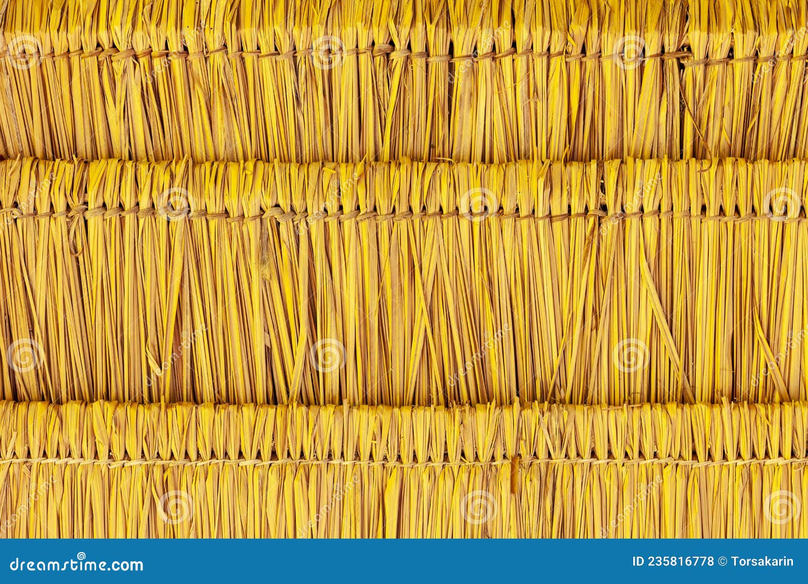 Leaf Wall Pattern and Background Seamless Stock Photo - Image of brown ...