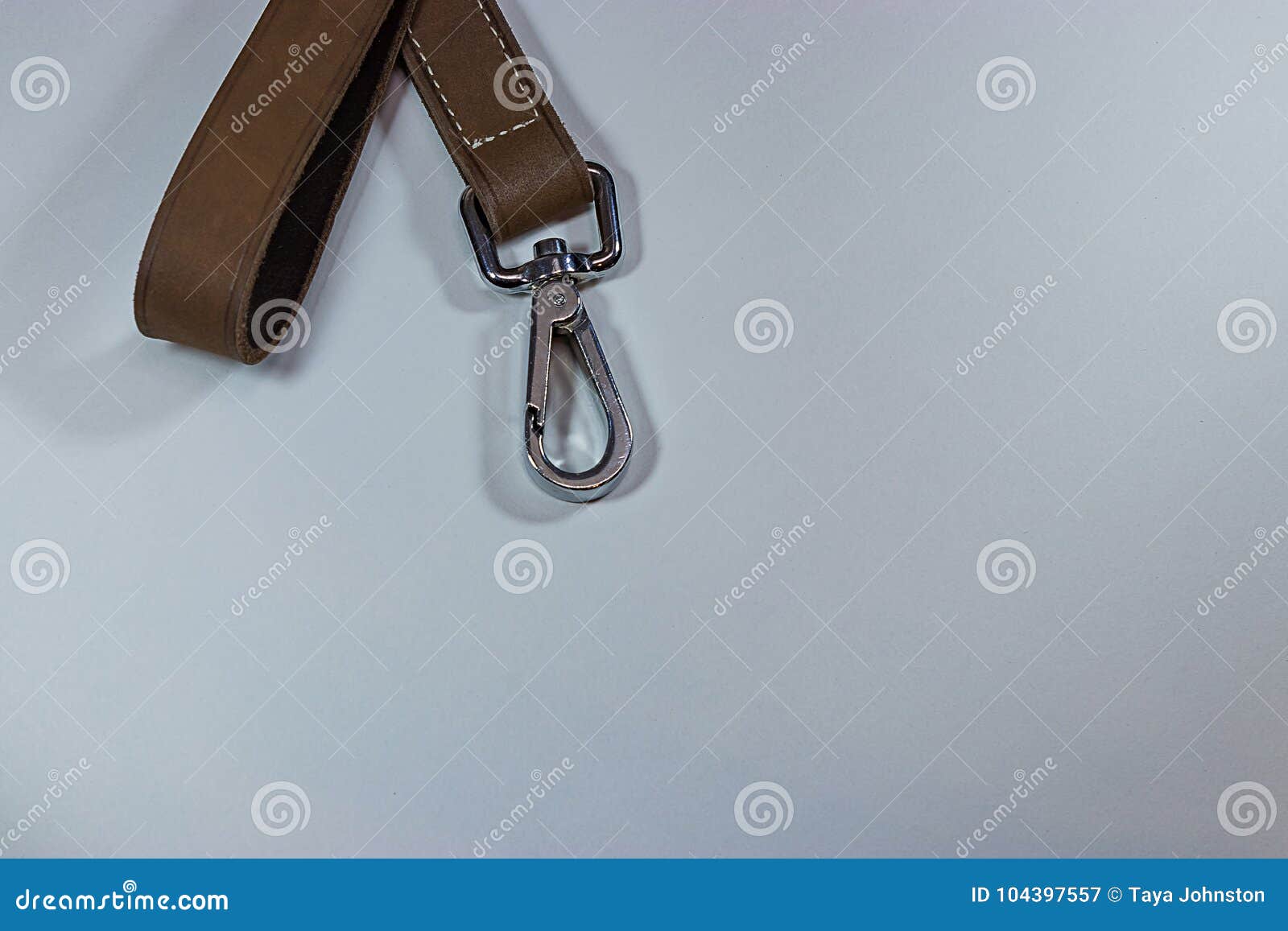 Brown Leash Handle and Clasp Stock Image - Image of equipment, canine ...