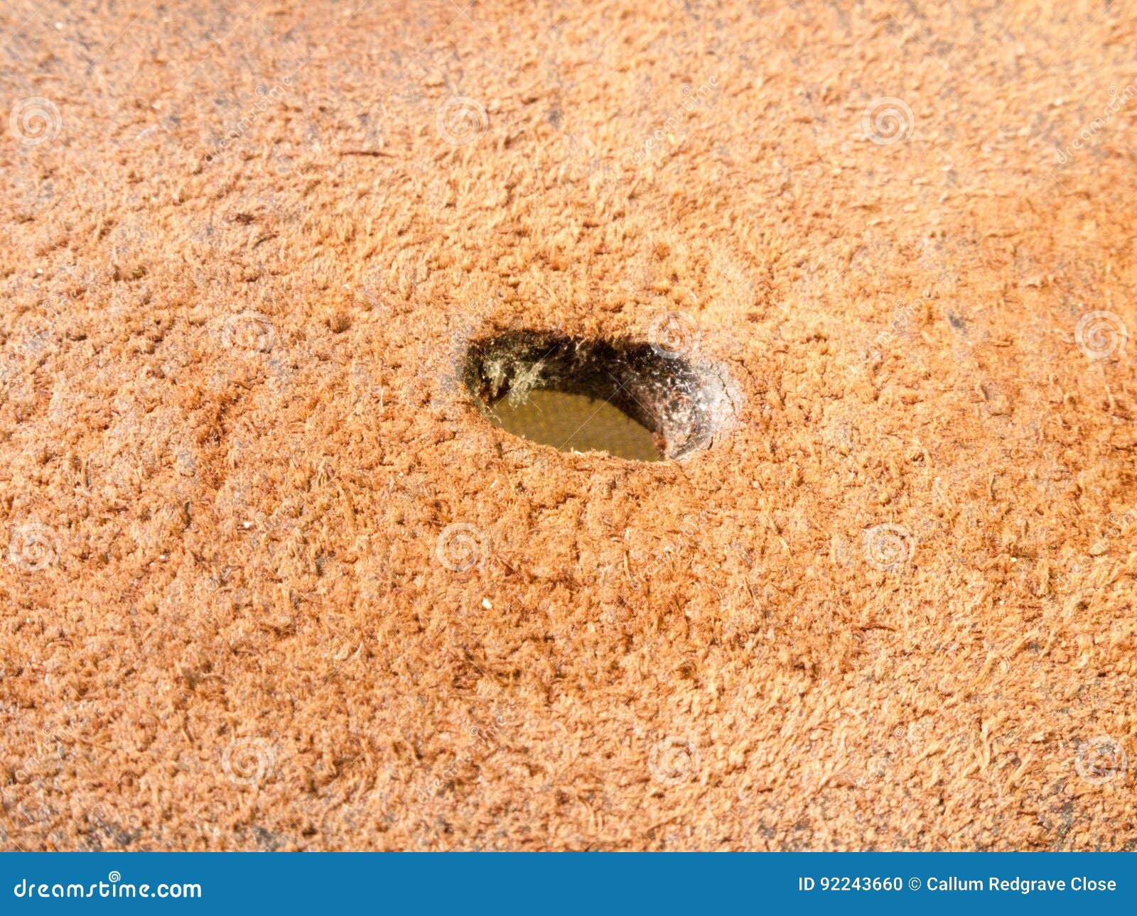 Brown Leather Belt Buckle Texture Underneath with Hole Stock Photo ...