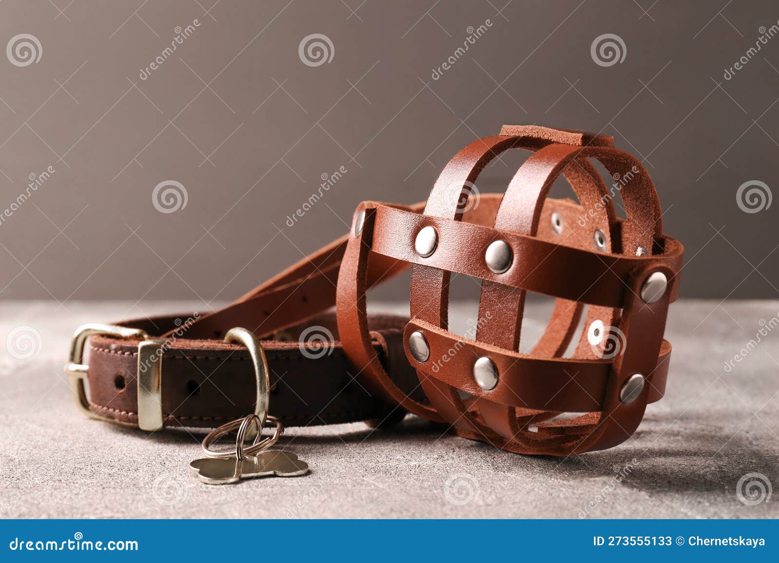 Brown Leather Dog Muzzle and Collar on Light Gray Textured Table ...
