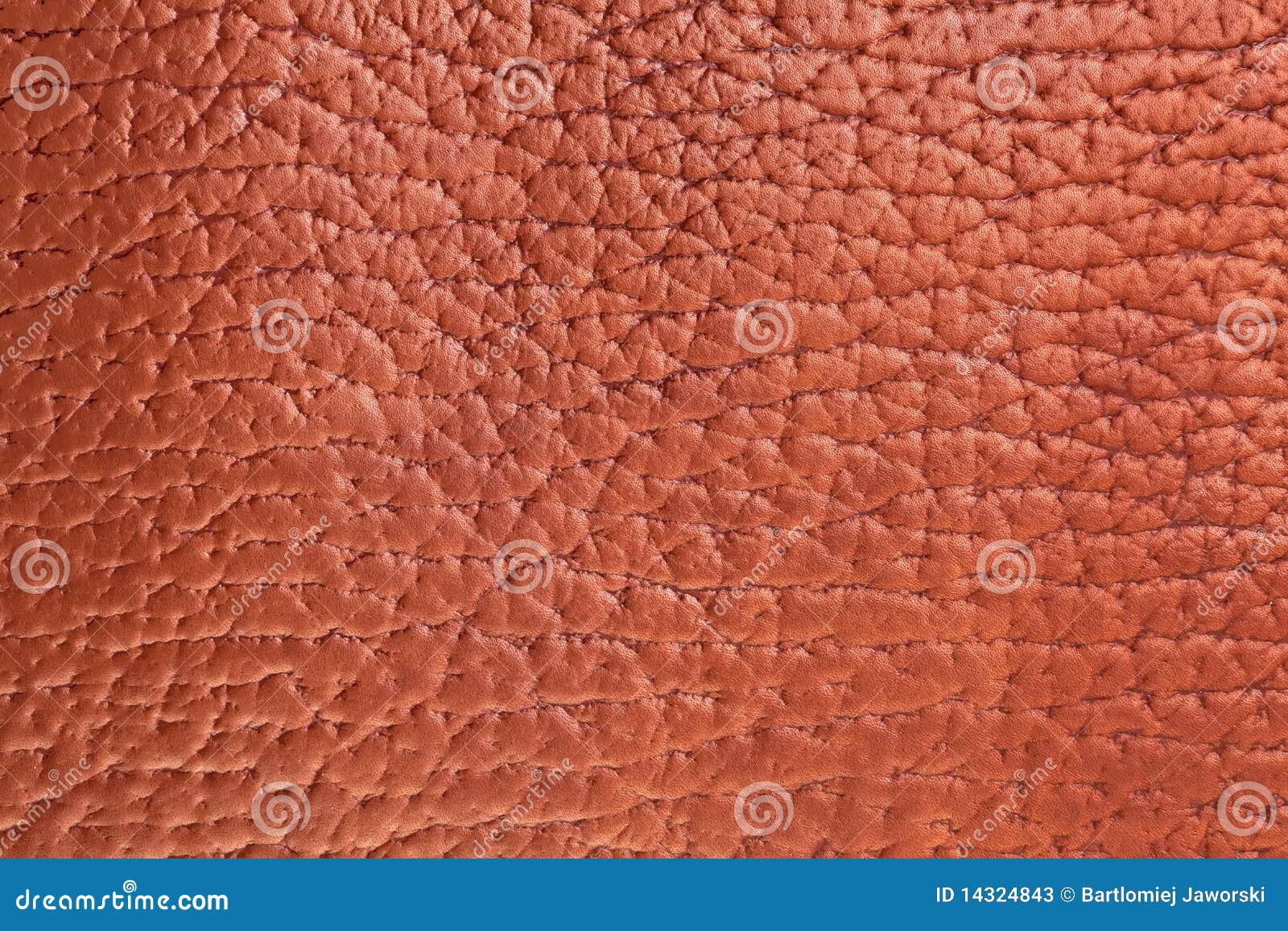 Brown leather pattern. stock image. Image of surface - 14324843
