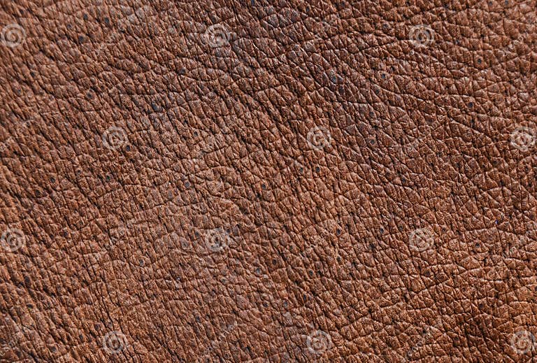 Brown Leather Texture with Pores Stock Photo - Image of natural ...