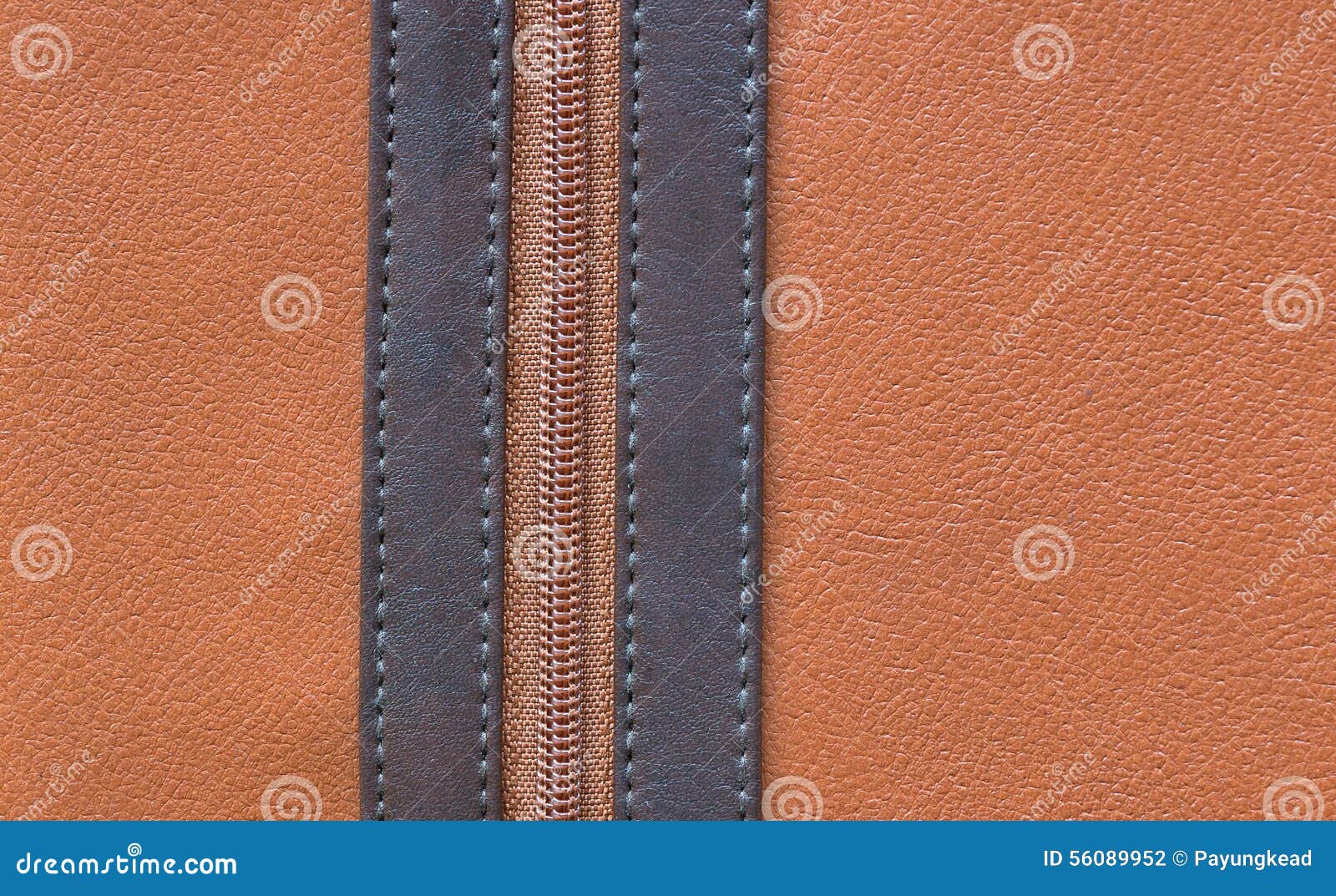 Zipper Background Stock Photo | CartoonDealer.com #36702954