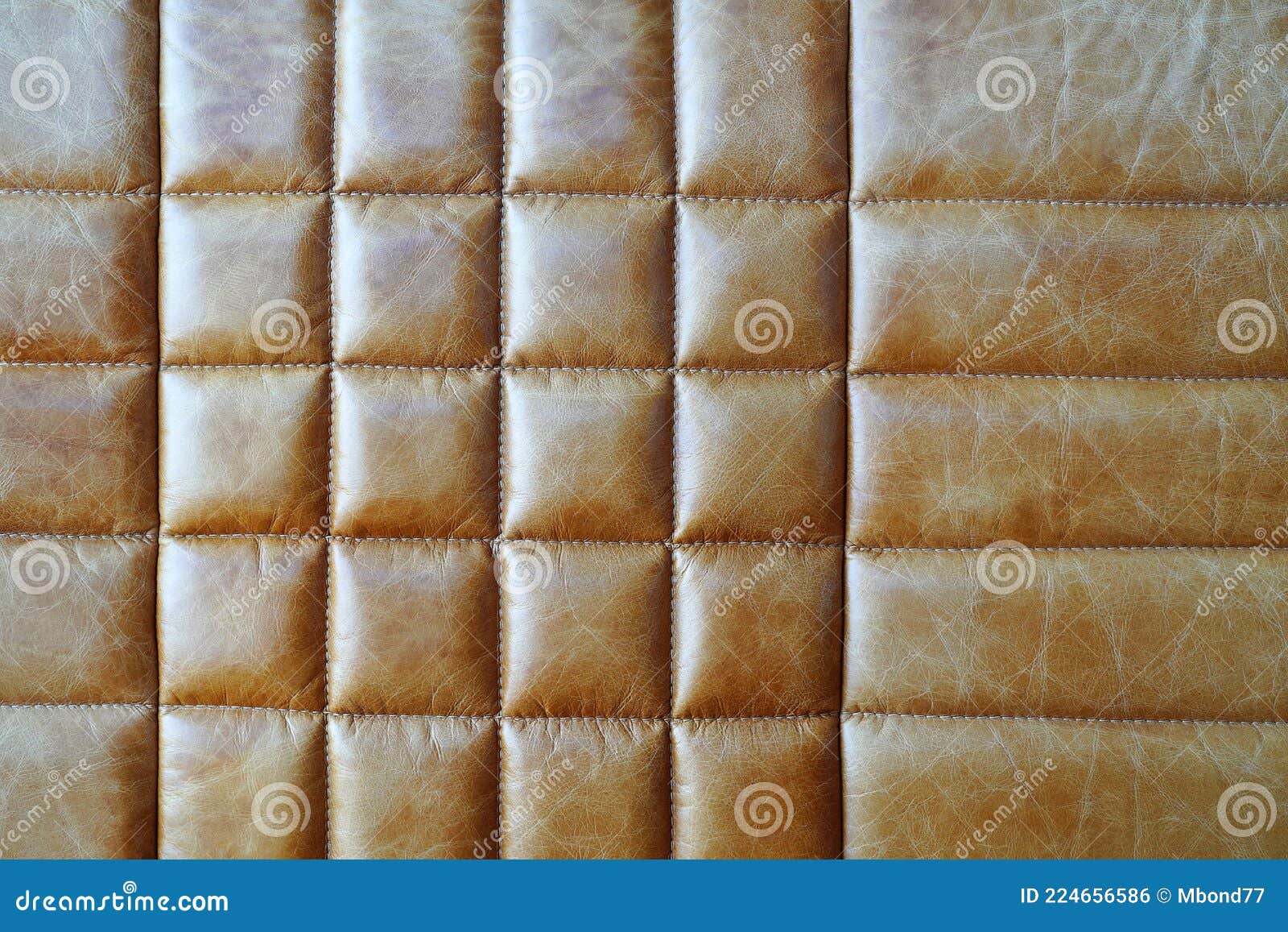 Brown Leather Upholstery of an Armchair, Sofa with Square and ...