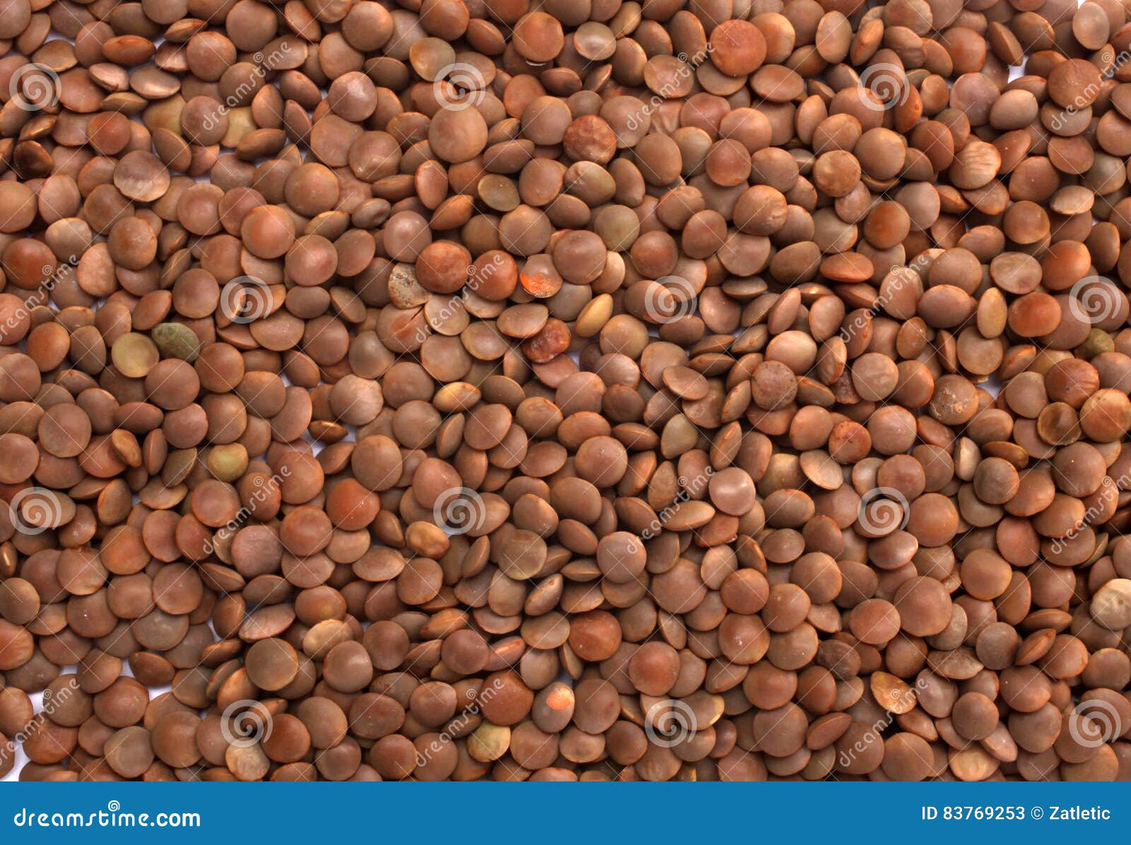 Brown Lentils stock image. Image of natural, grain, legume - 83769253