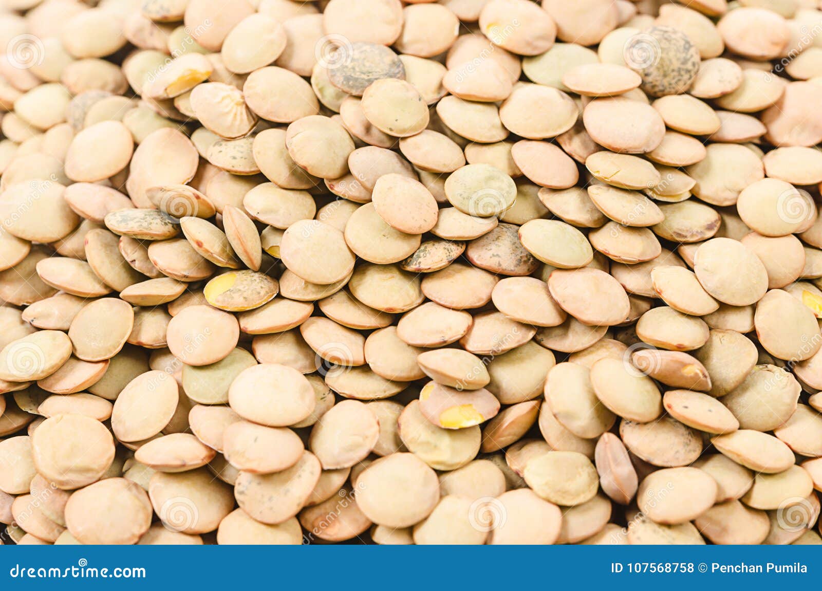 Brown Lentils for Use As Background. Stock Photo - Image of cuisine ...