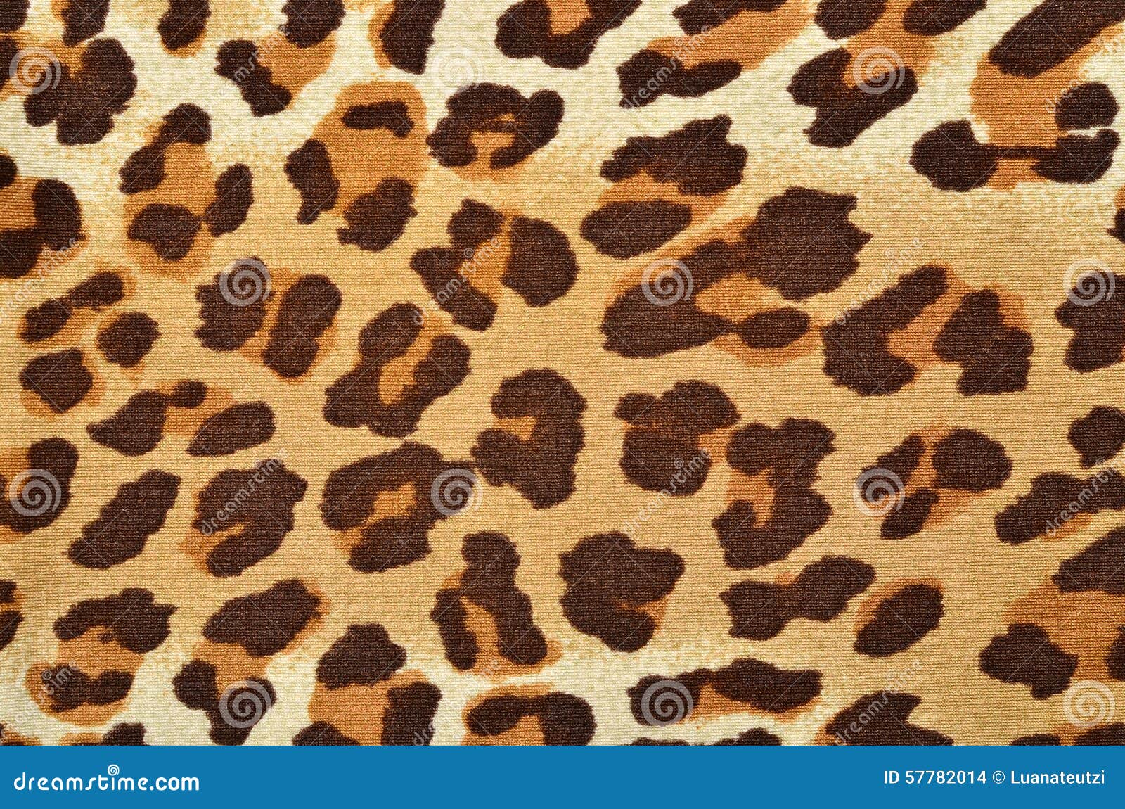 Brown leopard fur pattern. stock photo. Image of black - 57782014