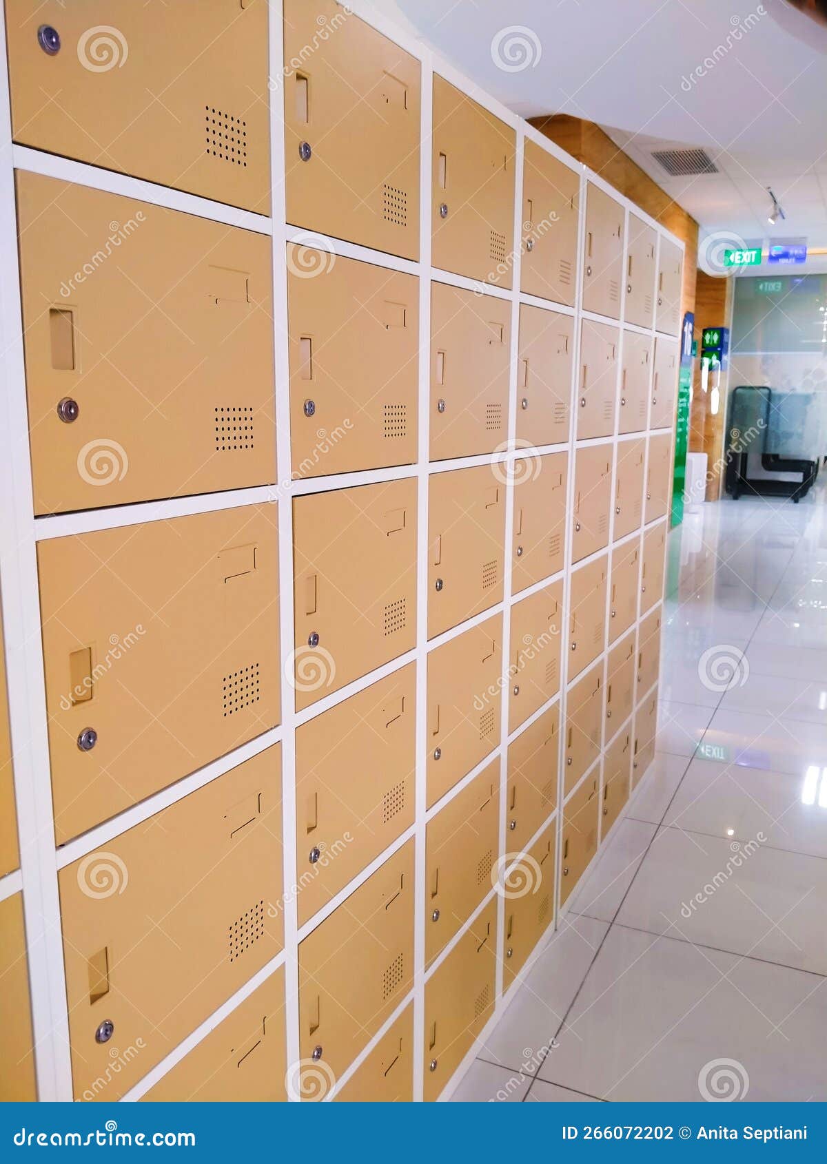 Brown Locker Provided by Public Service Stock Photo - Image of garment ...