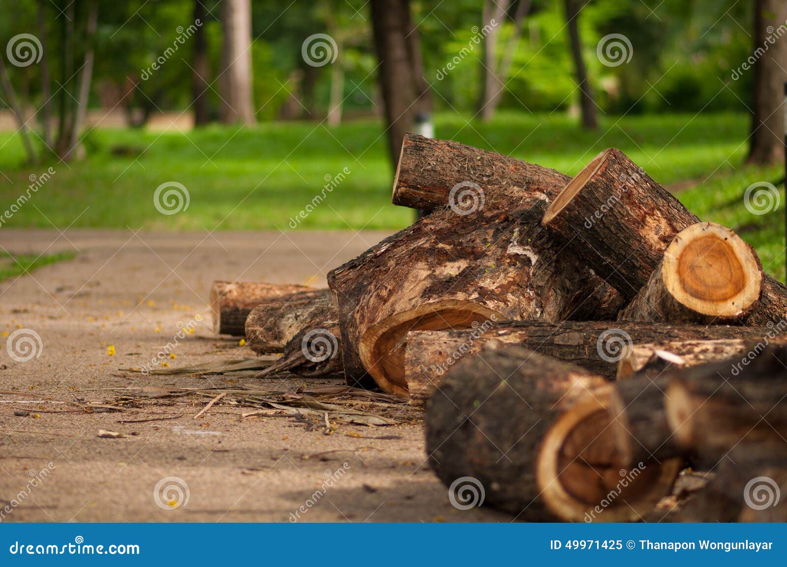 Brown Log, Piece of wood stock image. Image of lumber - 49971425