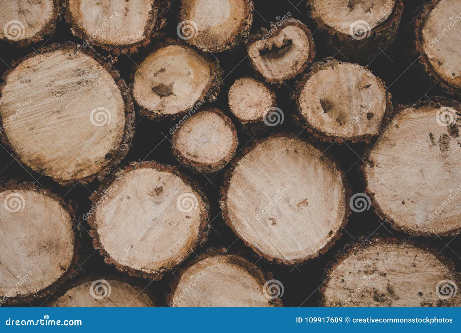 Brown Logs Picture. Image: 109917609